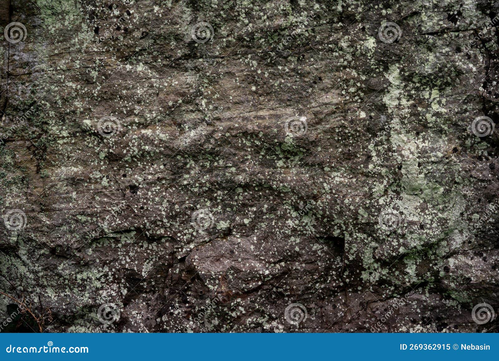 Texture of Stone with Moss. Can Be Used As Background Stock Image ...