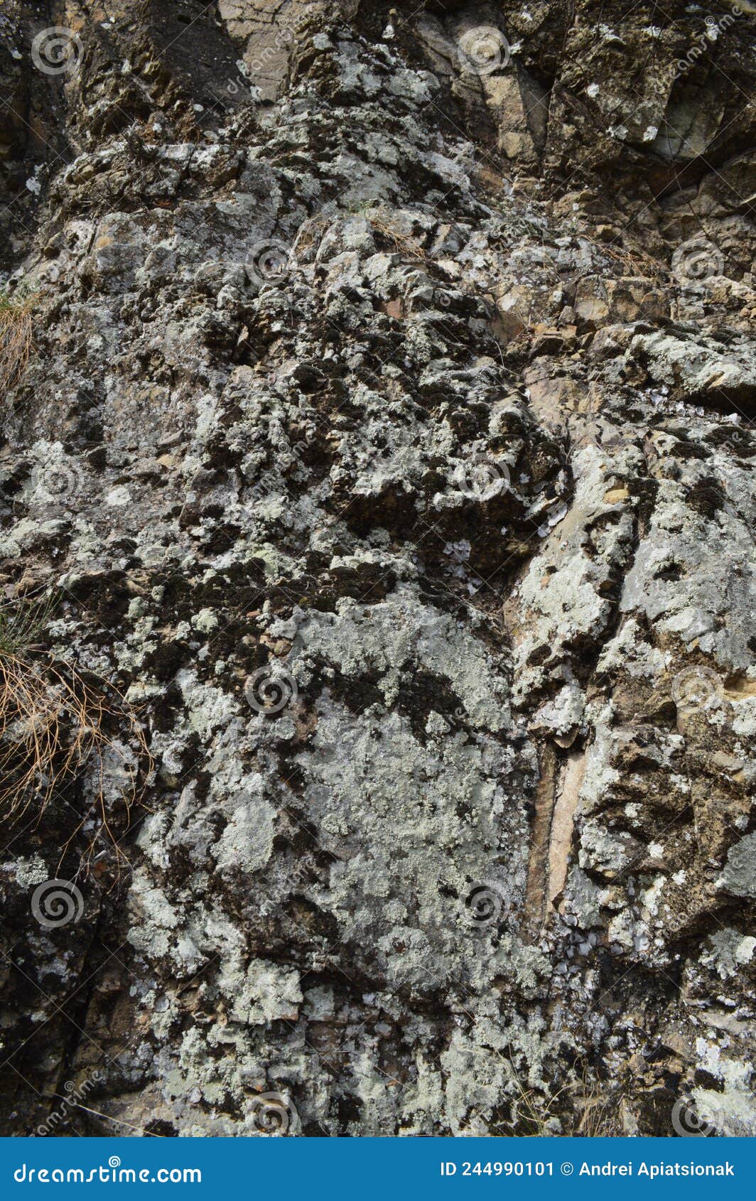 The Texture of a Stone on a Mountainside Stock Image - Image of stone ...