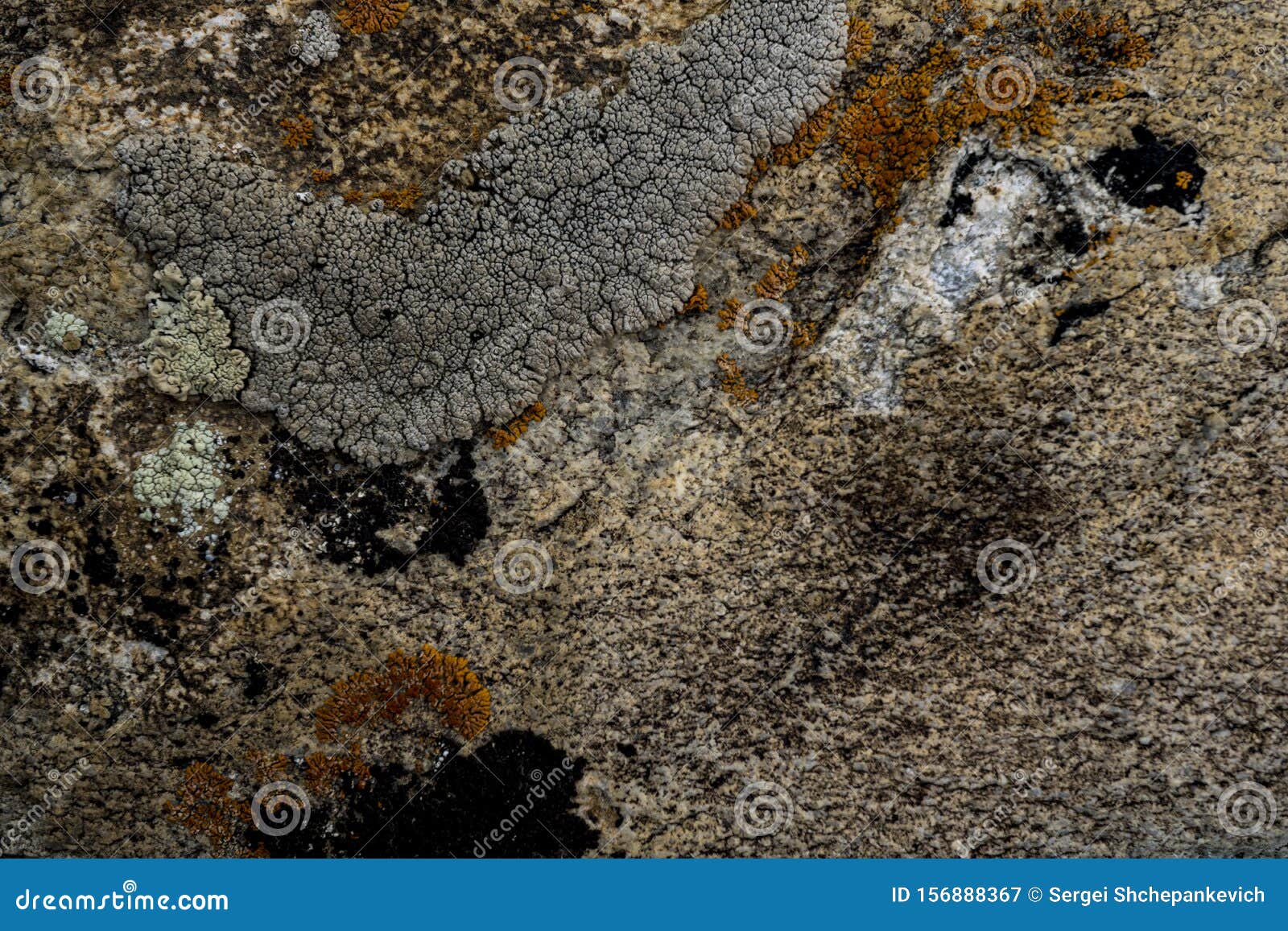 The Texture of the Stone Overgrown with Moss Stock Image - Image of ...