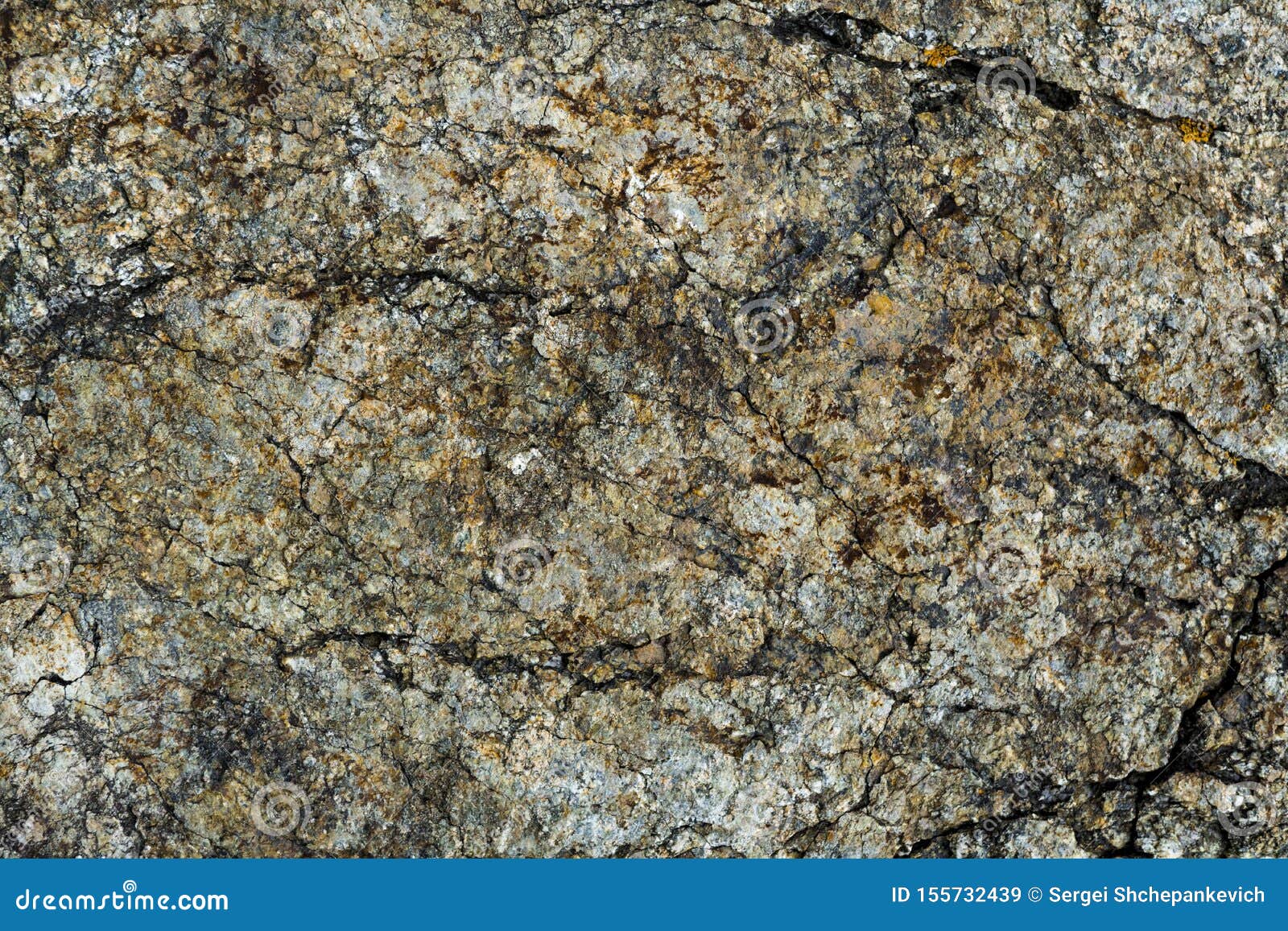 The Texture of the Stone Overgrown with Moss Stock Image - Image of ...