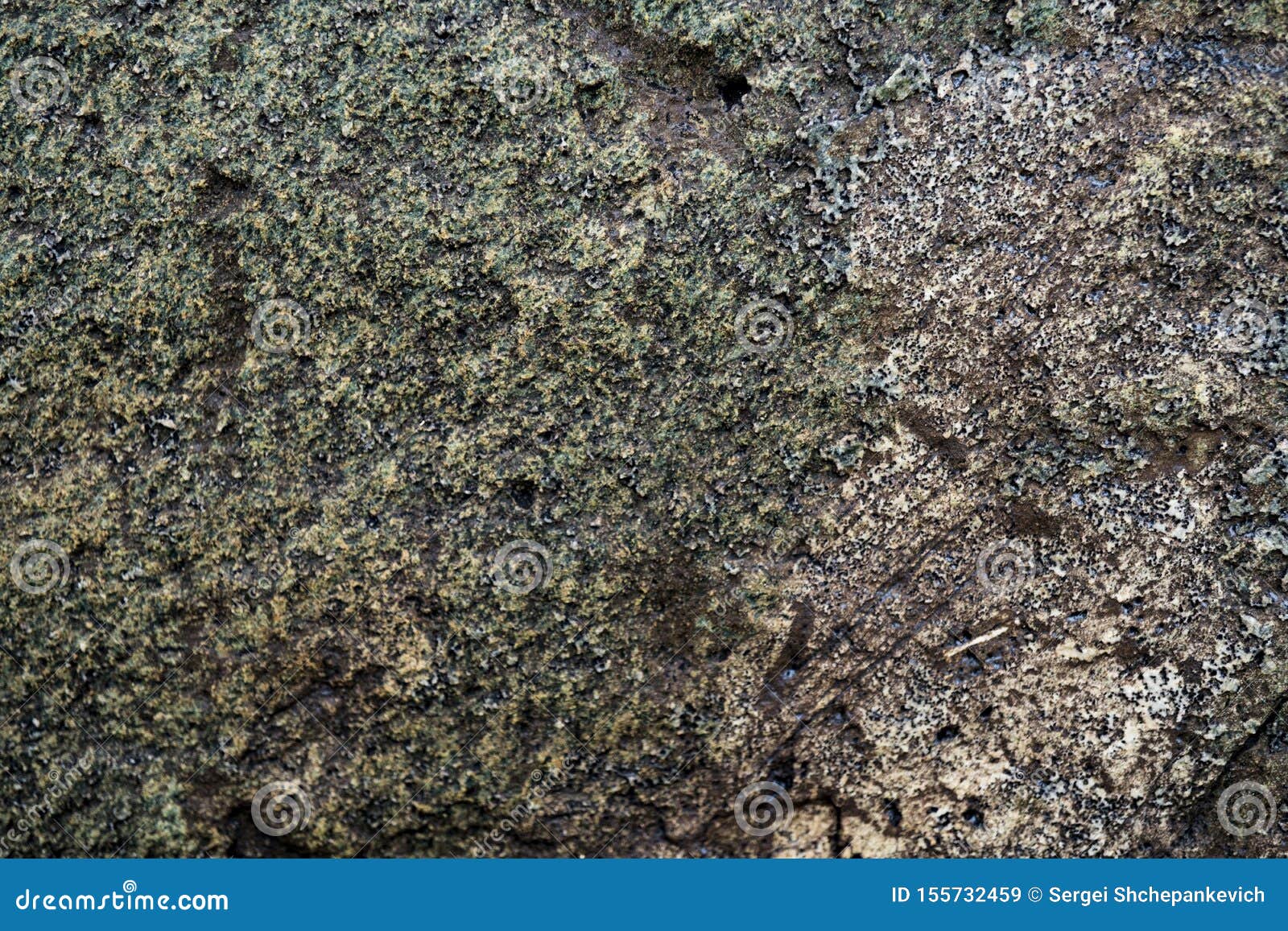 The Texture of the Stone Overgrown with Moss Stock Image - Image of ...