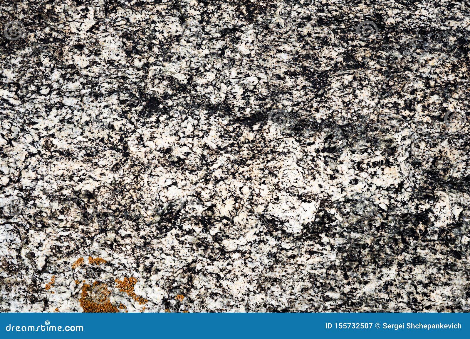 The Texture of the Stone Overgrown with Moss Stock Image - Image of ...