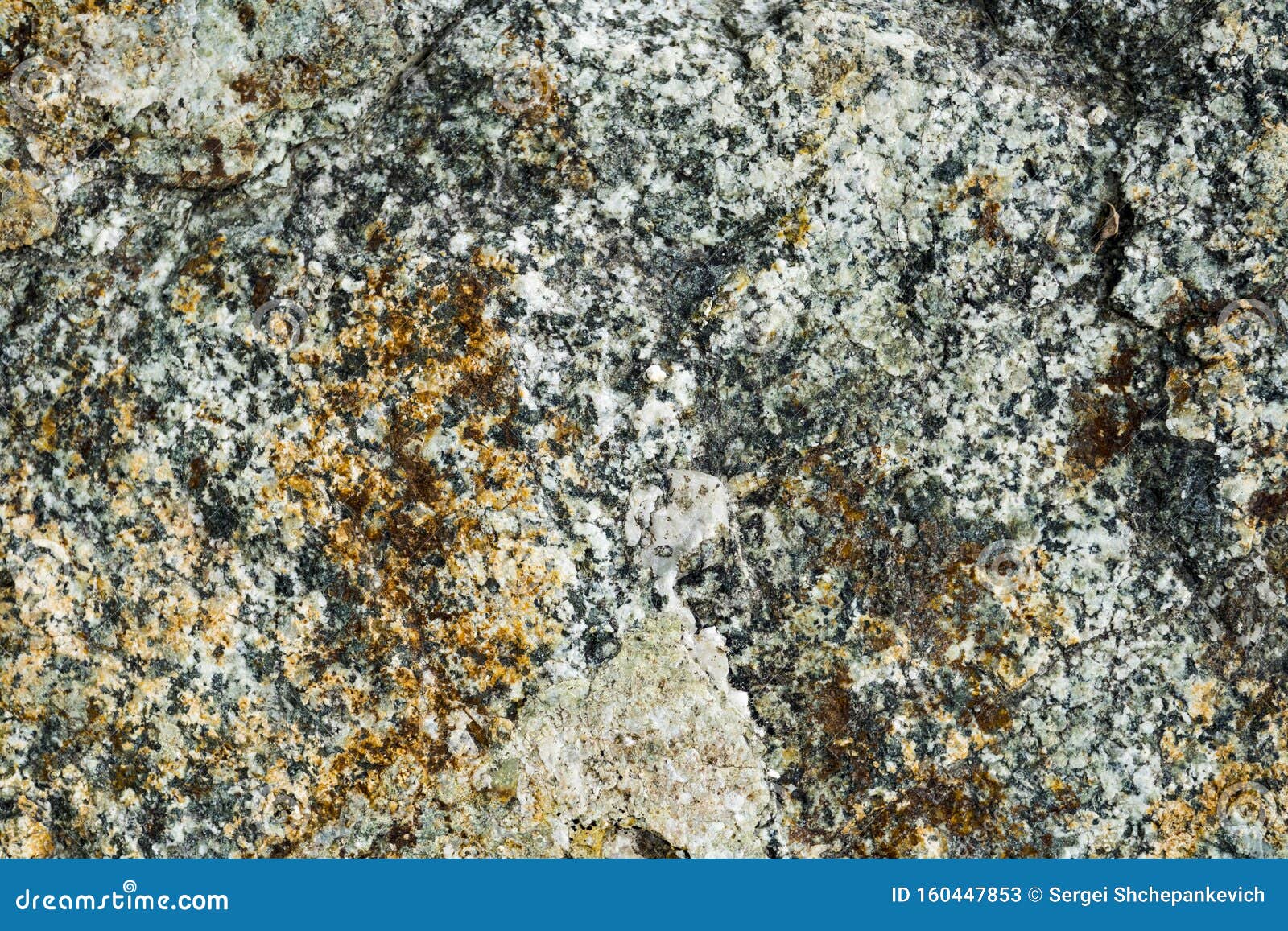 The Texture of the Stone Overgrown with Moss Stock Image - Image of ...