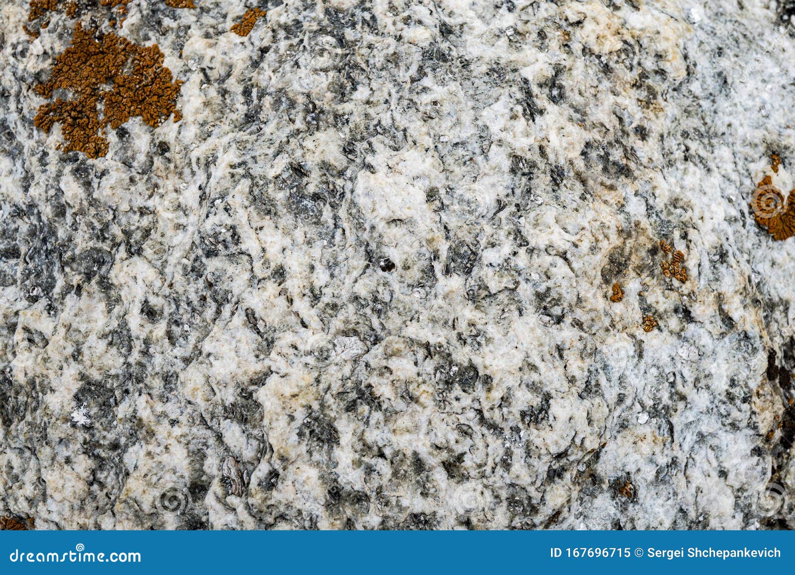 The Texture of the Stone Overgrown with Moss Stock Image - Image of ...