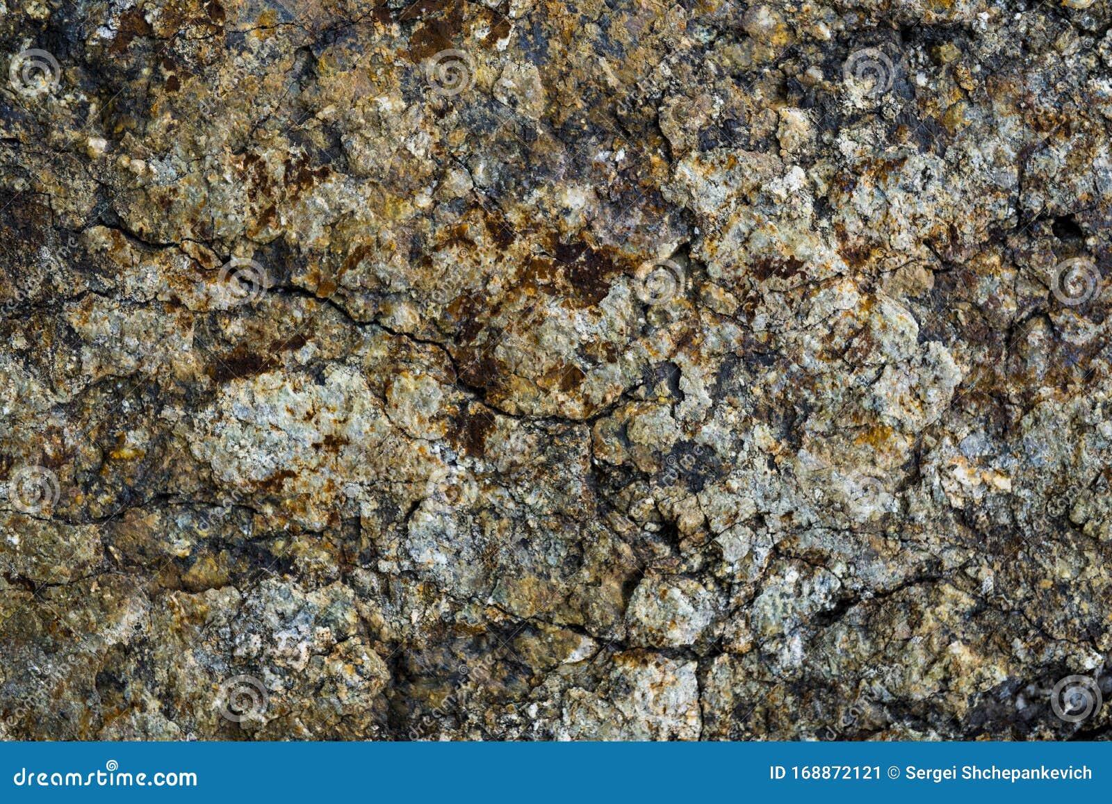 The Texture of the Stone Overgrown with Moss Stock Image - Image of ...