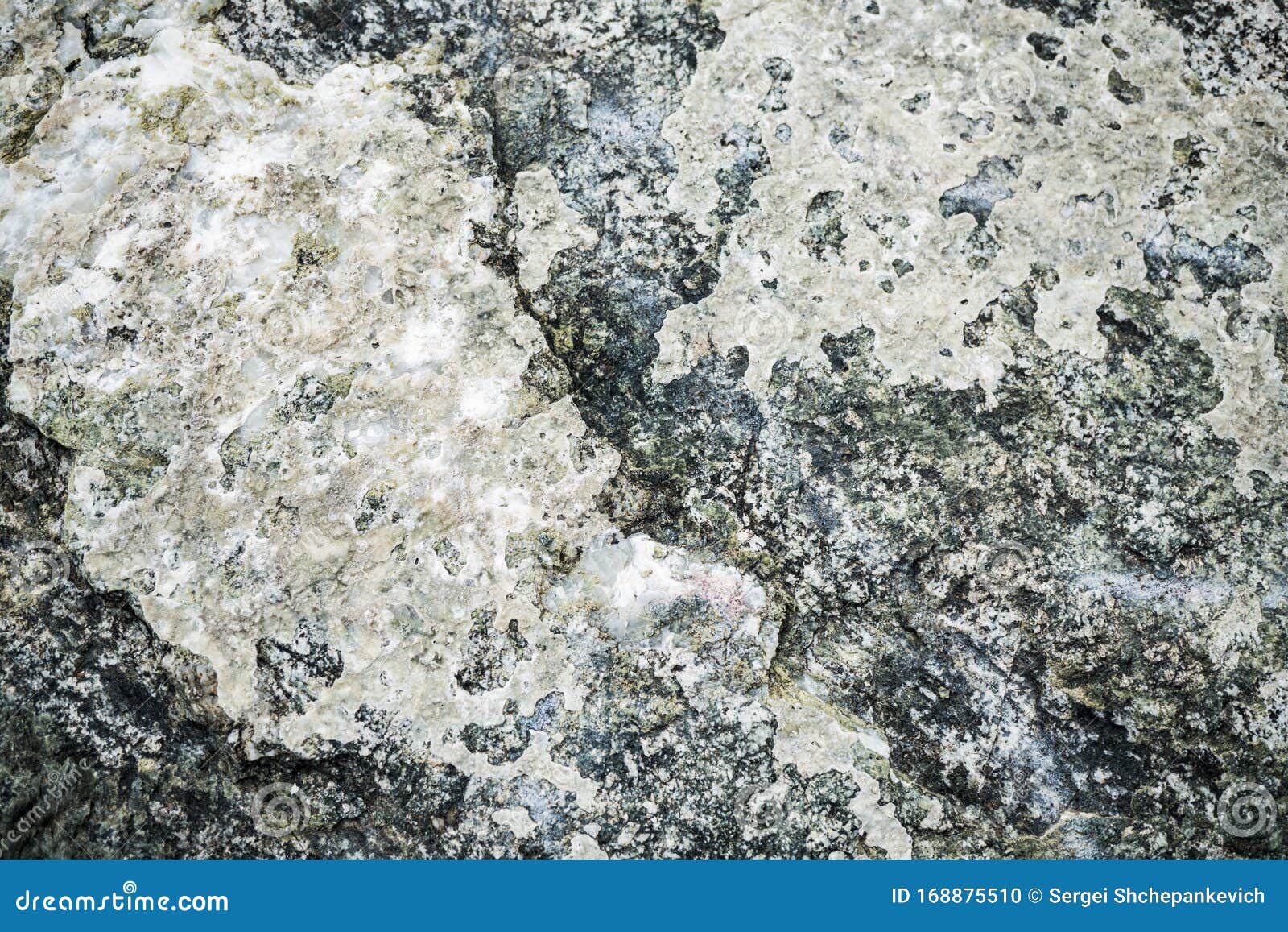 The Texture of the Stone Overgrown with Moss Stock Photo - Image of ...