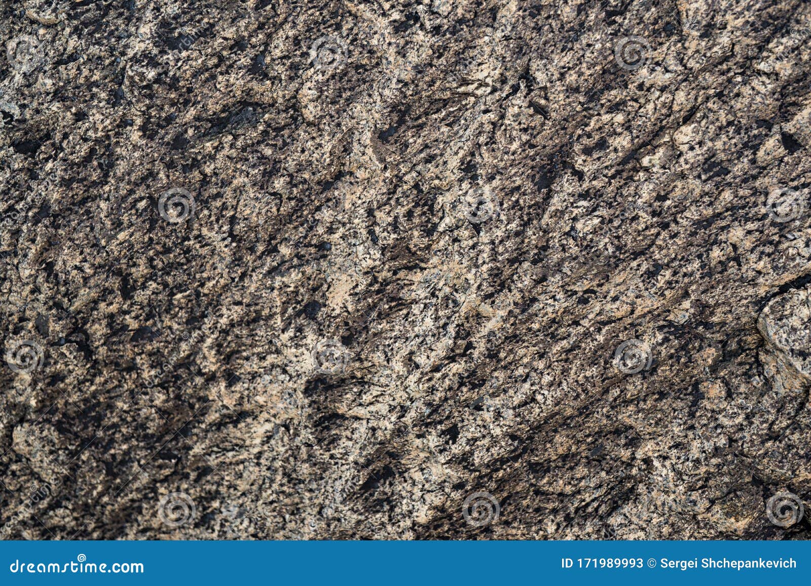 The Texture of the Stone Overgrown with Moss Stock Image - Image of ...