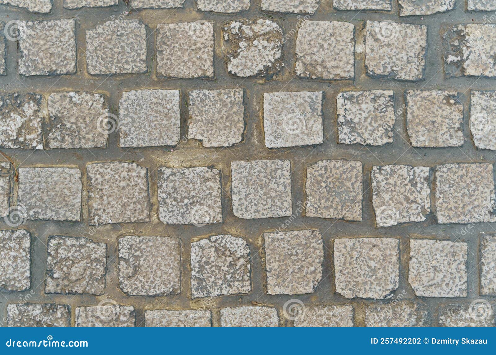 The Texture of the Stone Pavement. Granite Square Cobblestone Pavement ...