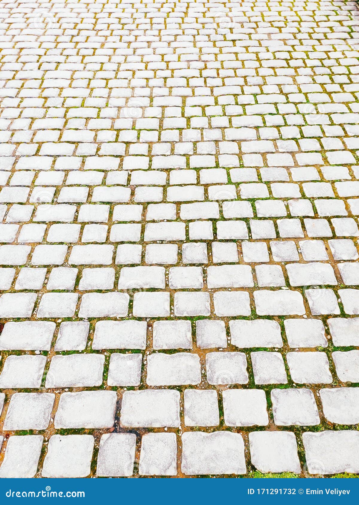 Texture of the Stone on Pedestrian Area Stock Photo - Image of texture ...