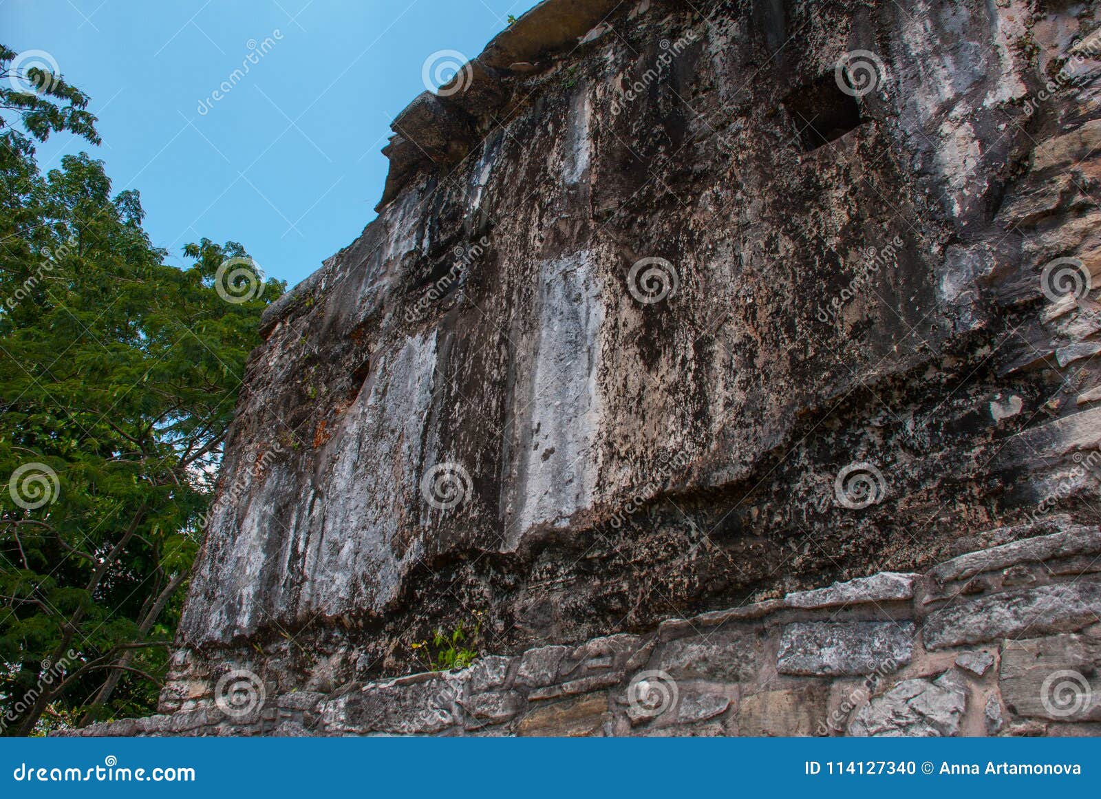 The Texture of the Stone Plan. Palenque, Chiapas, Mexico. Stock Photo ...