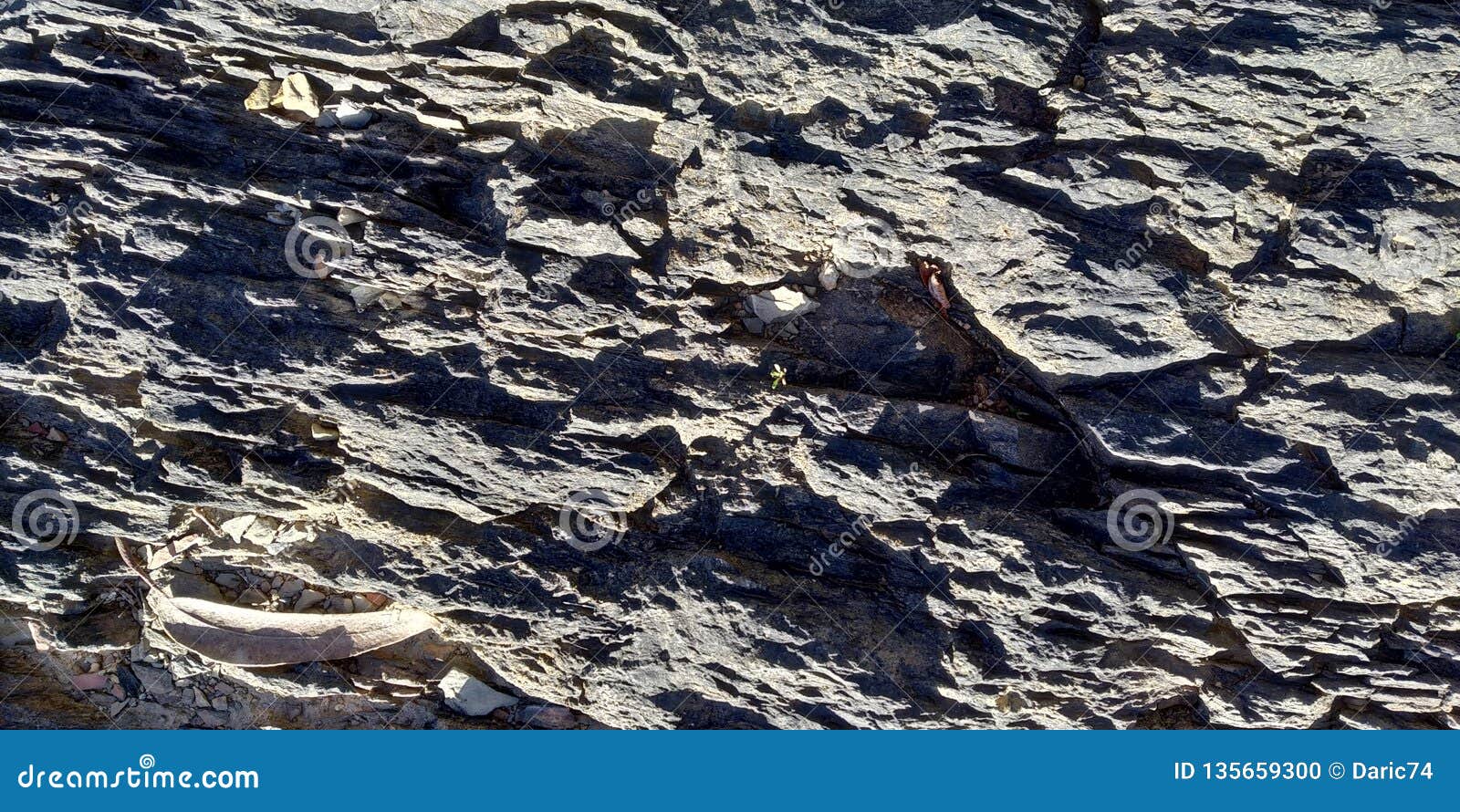 Compact Rock Texture With Grey Fungi Stock Photography | CartoonDealer ...