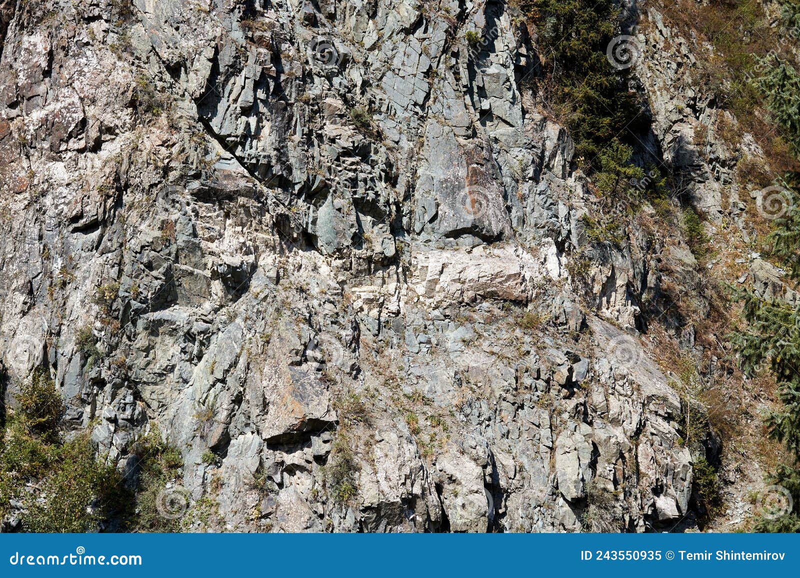 Texture of a Stone Rock Overgrown with Grass Stock Image - Image of ...