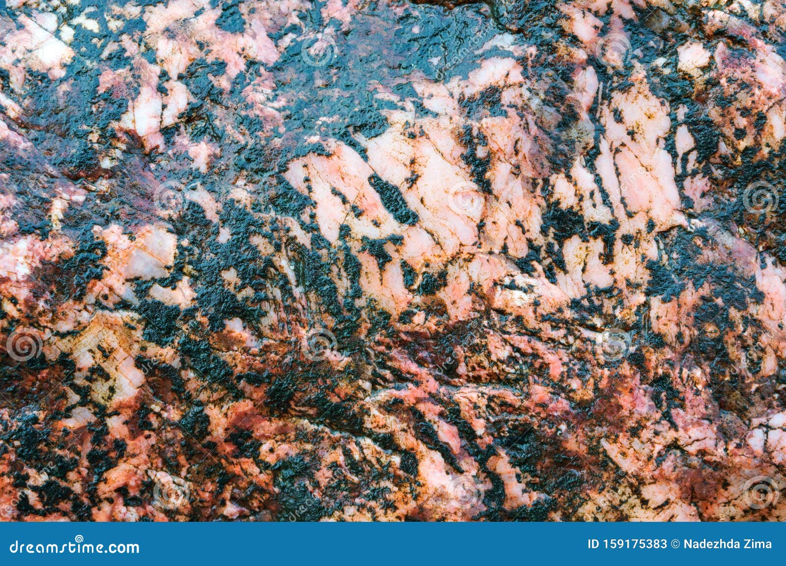 Sea Stone Background, the Texture of the Stone Stock Image - Image of ...