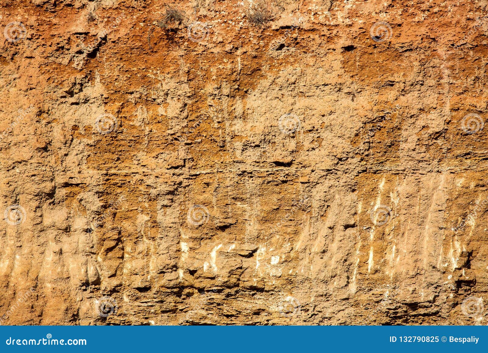 The Texture of the Stone Shell Rock. Stock Image - Image of brown ...