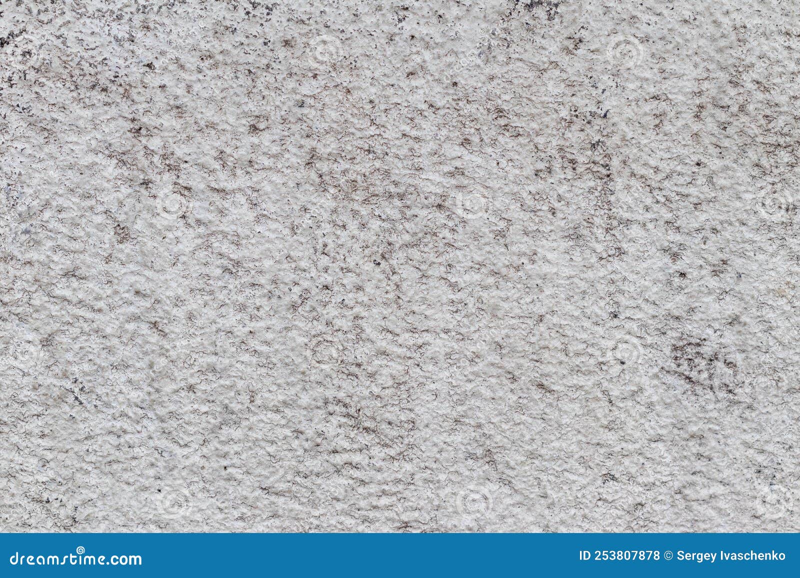 The texture of the stone. stock photo. Image of tile - 253807878