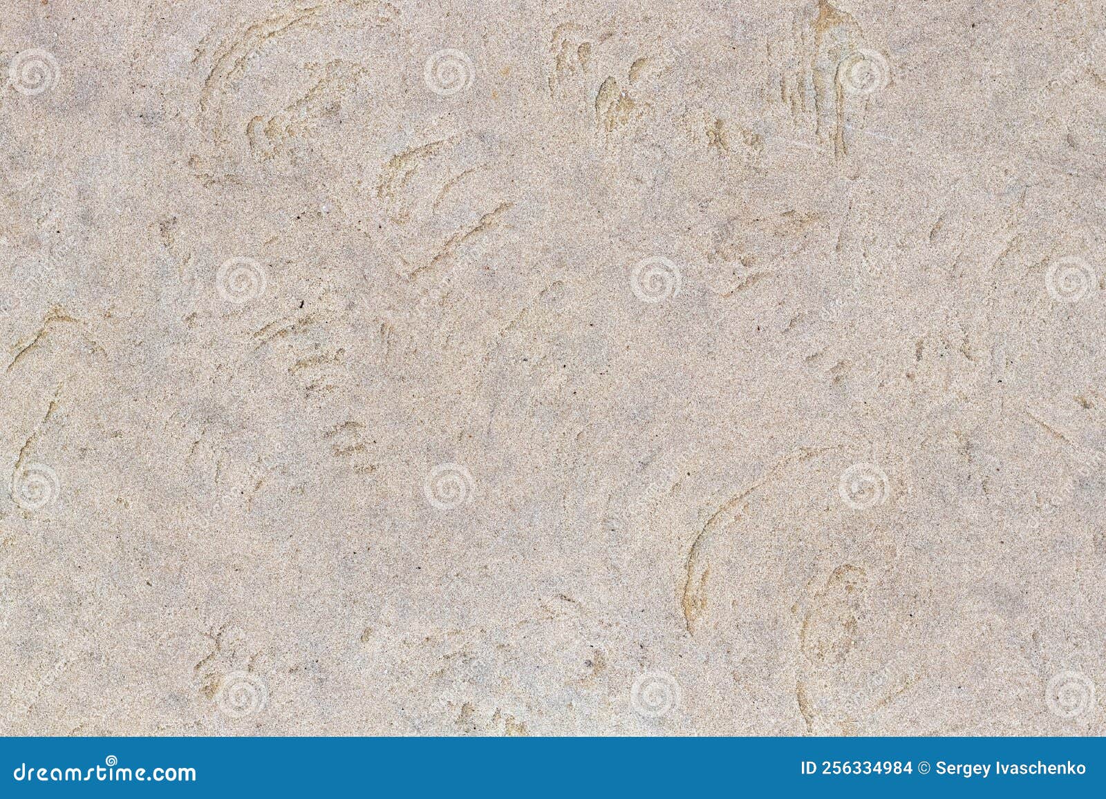Texture of a Stone Wall with Cracks and Scratches Which Can Be Used As ...