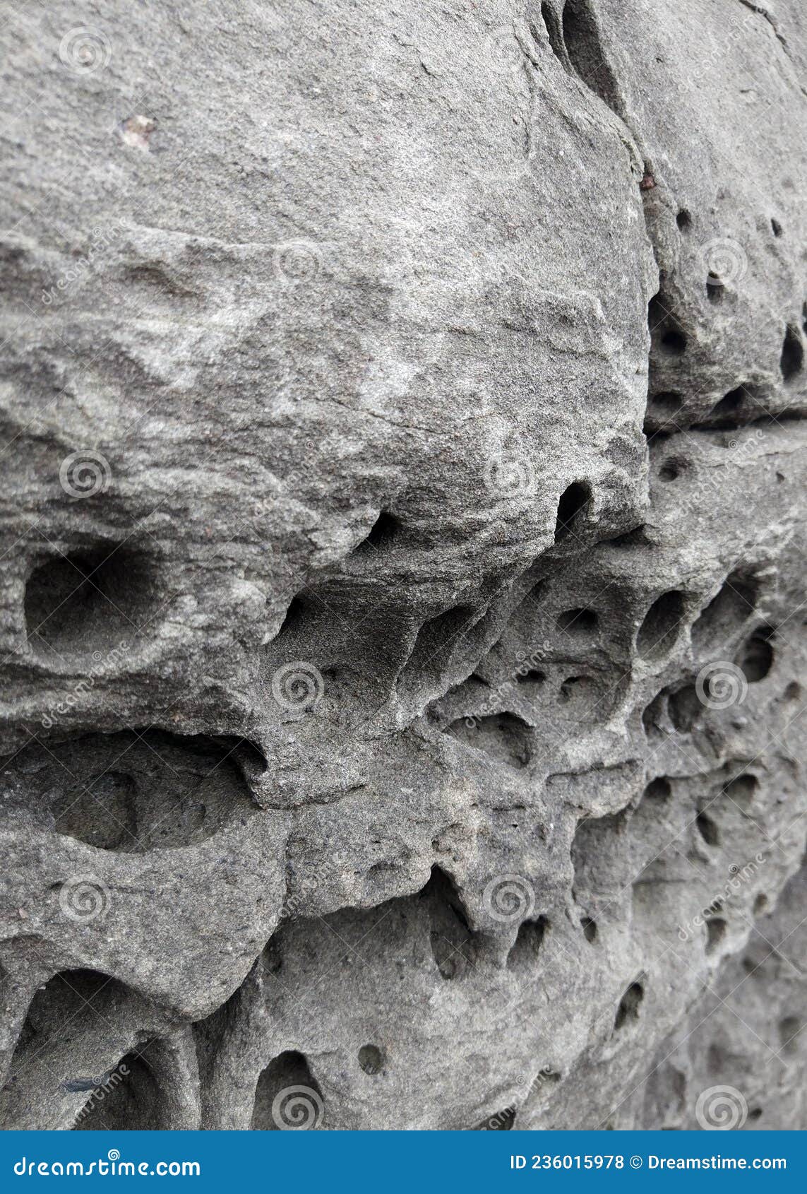 The Texture of a Stone with Water-cut Holes Stock Photo - Image of ...
