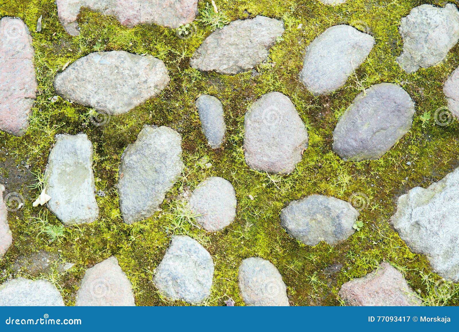 Texture of Stones in the Grass Stock Image - Image of stone, road: 77093417