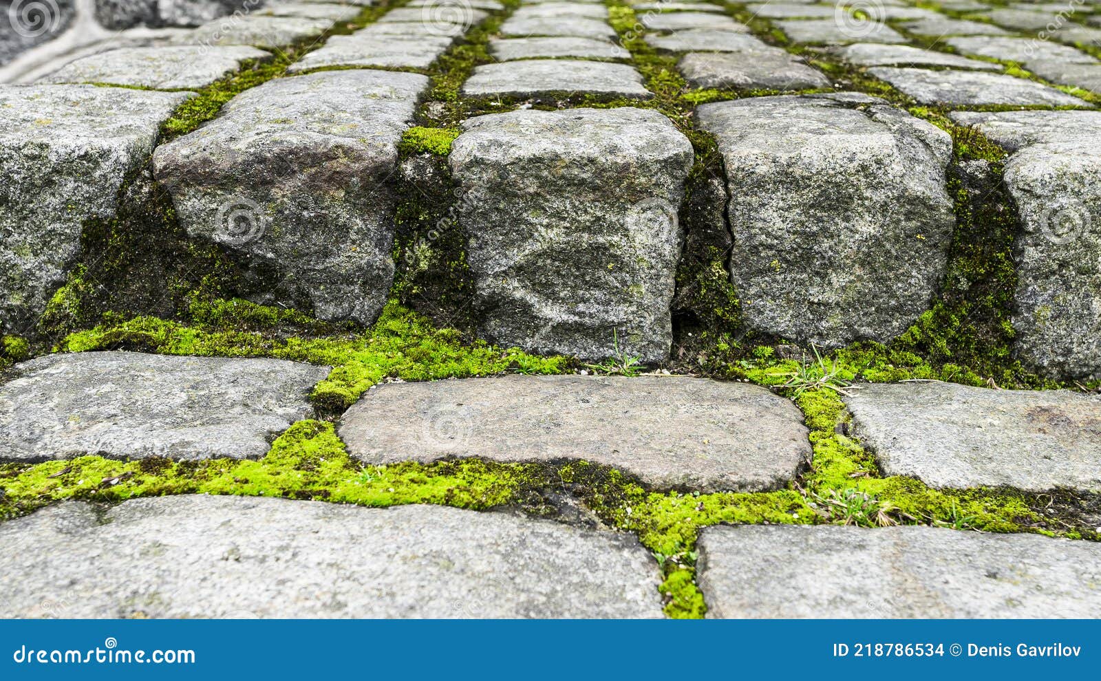 Texture of Stones and Moss, Stone Steps Stock Photo - Image of material ...