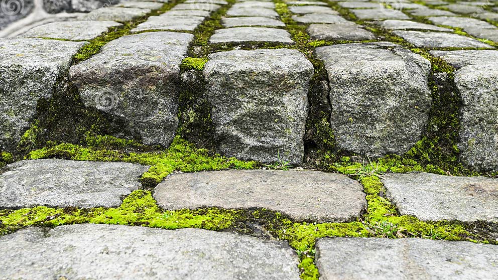 Texture of Stones and Moss, Stone Steps Stock Photo - Image of material ...