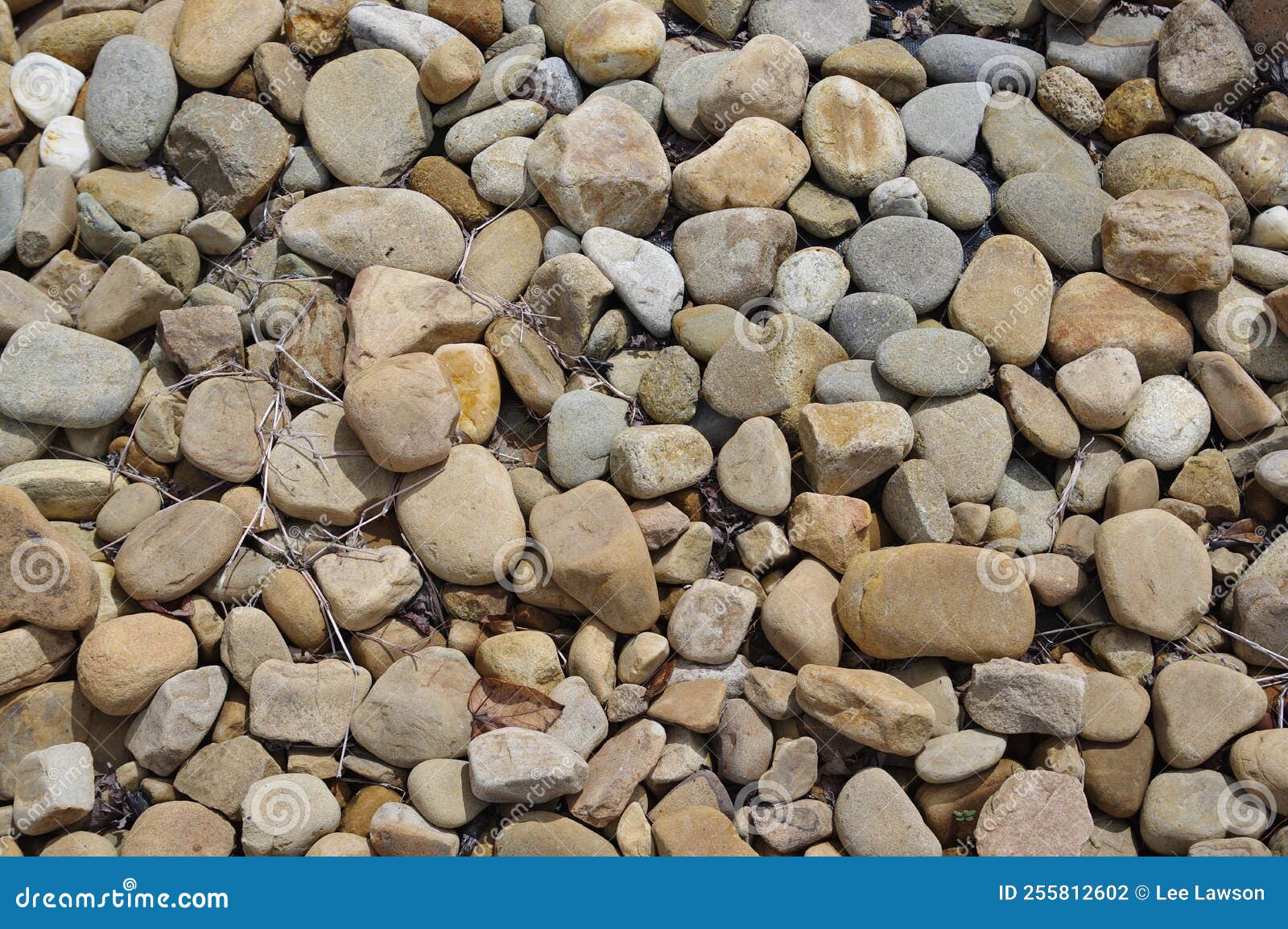 Stones and Rock with Some Debris Stock Photo - Image of pebble, stick ...