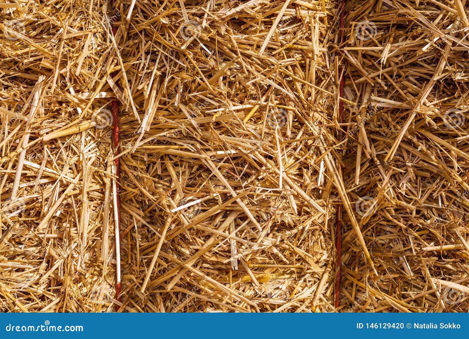 Texture of straw bale stock photo. Image of oats, bale - 146129420