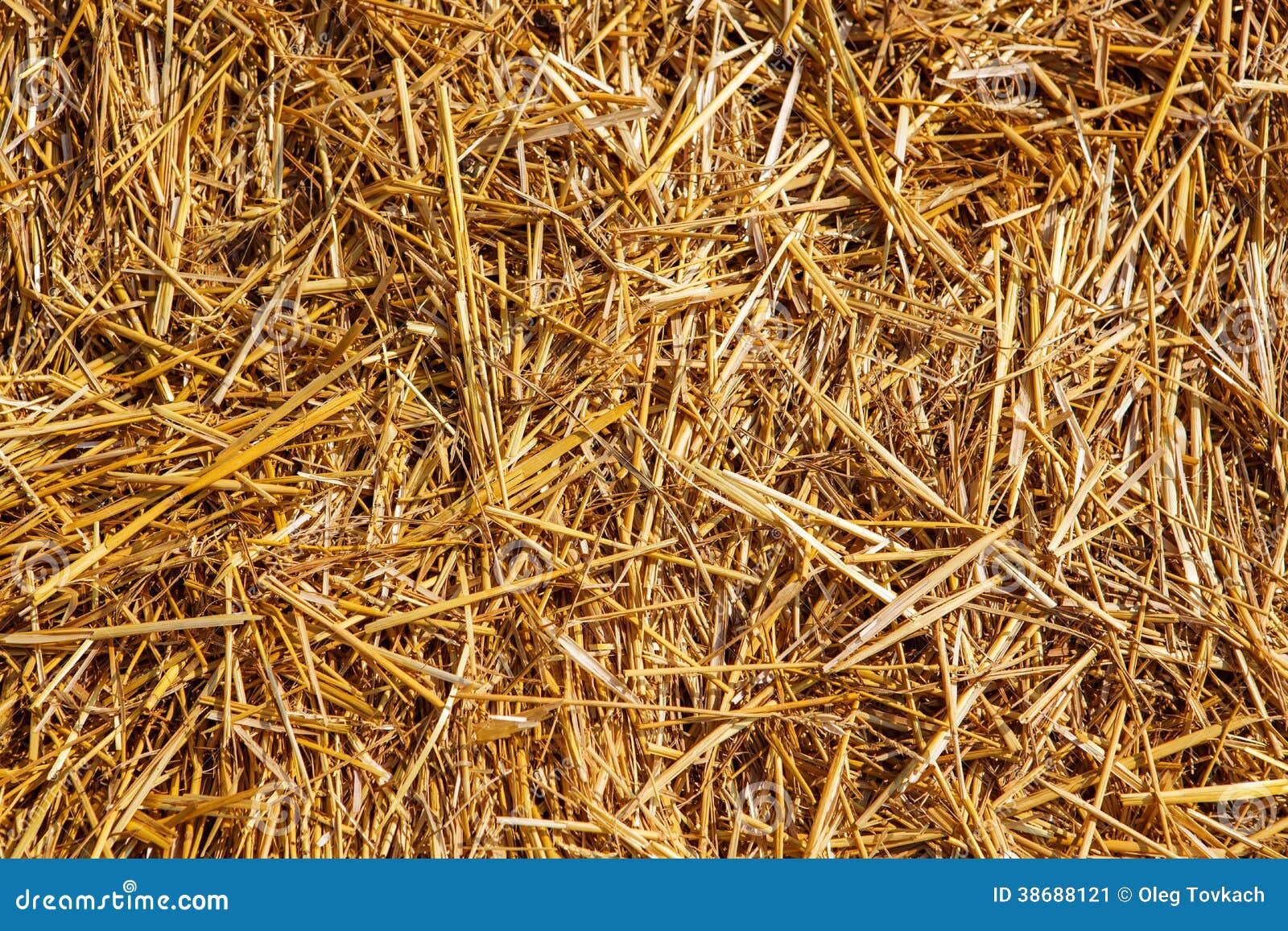 Texture of straw stock image. Image of grass, scene, ground - 38688121