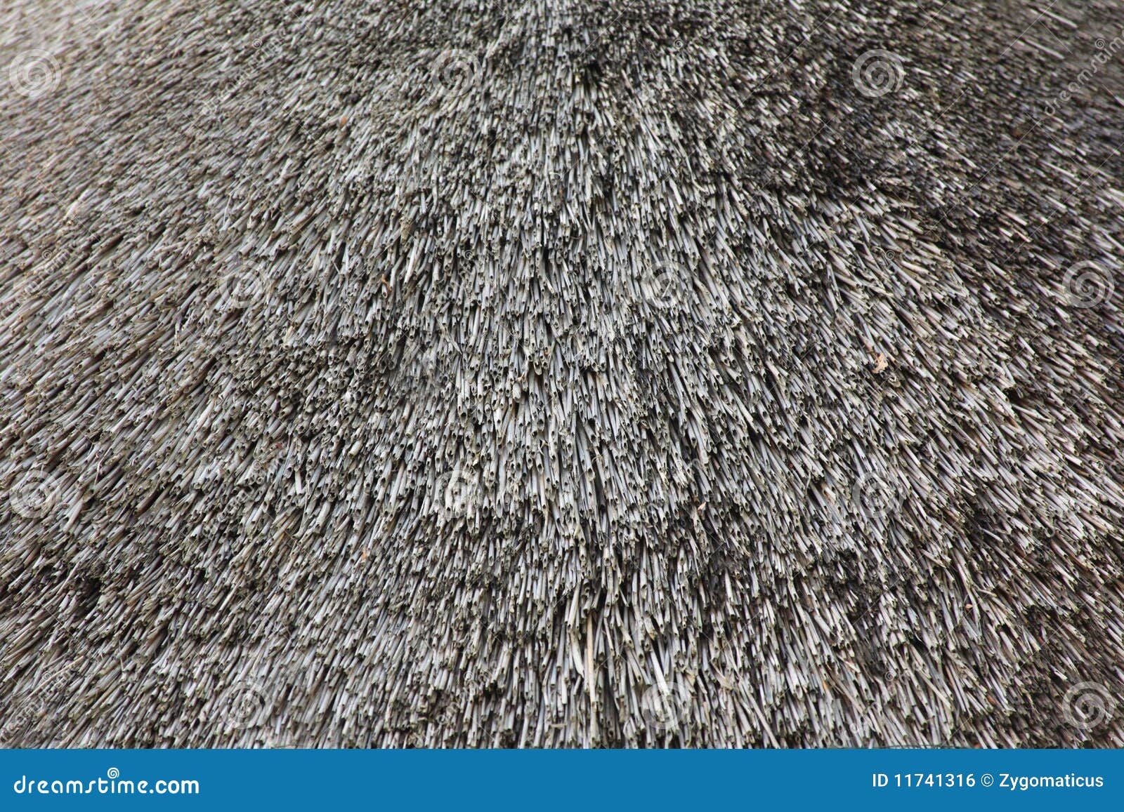 Straw Hut Roof In Li Cossi Beach Royalty-Free Stock Photography ...