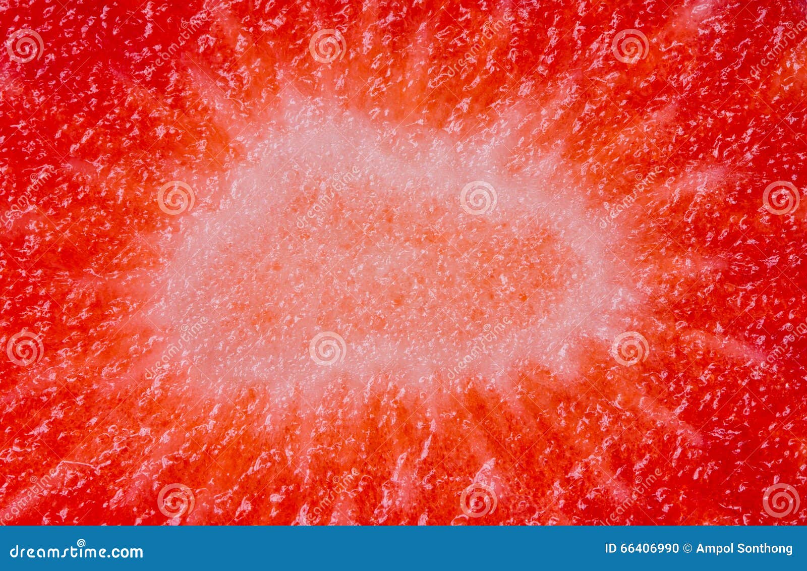 Texture of strawberry stock photo. Image of inside, strawberry - 66406990