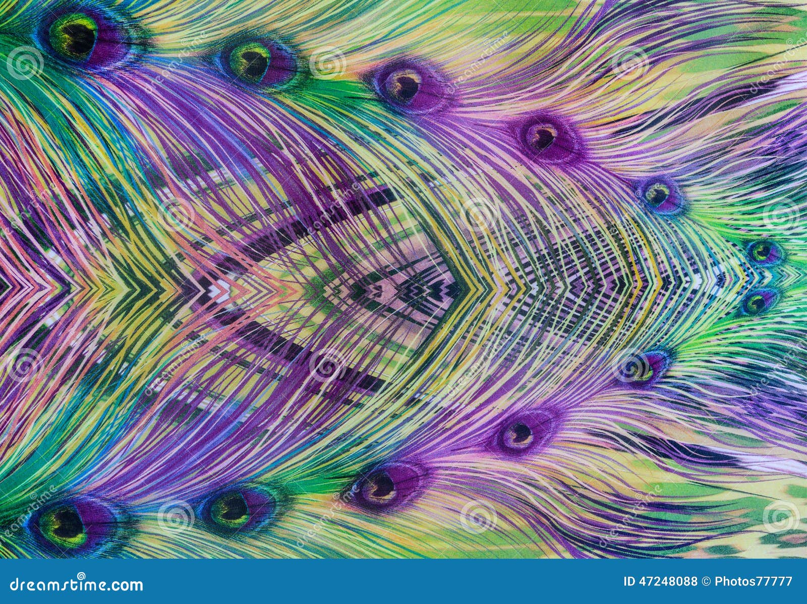 The Texture Of The Peacock Feather In The Tail Stock Photography ...