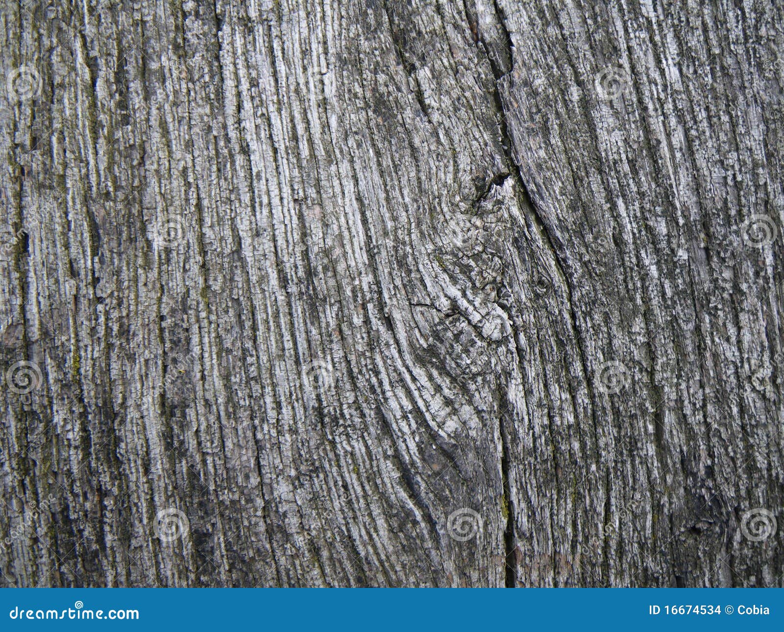 Texture / Structure: Weathered Wood Stock Photo - Image of structure ...