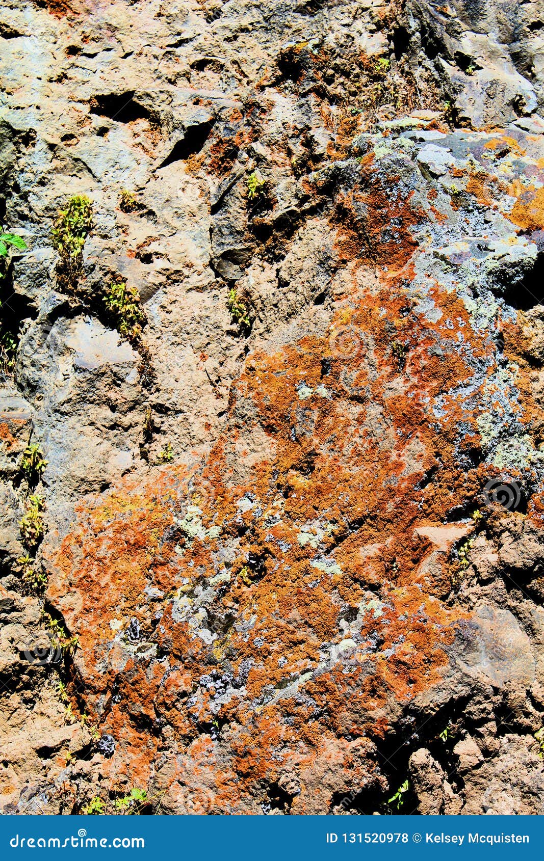 Beautiful Texture or Background Image Stock Photo - Image of detail ...