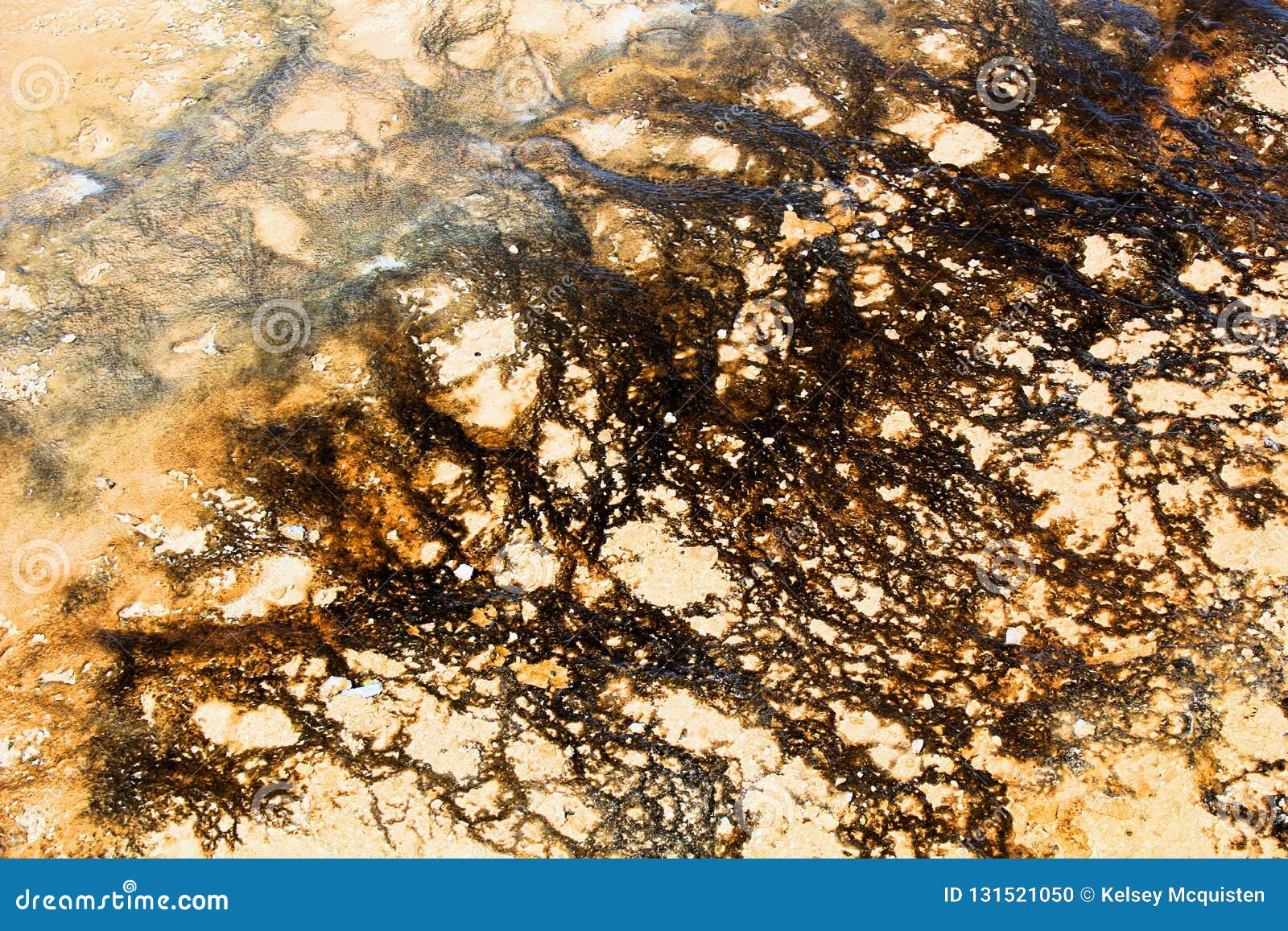 Beautiful Texture or Background Image Stock Photo - Image of detail ...