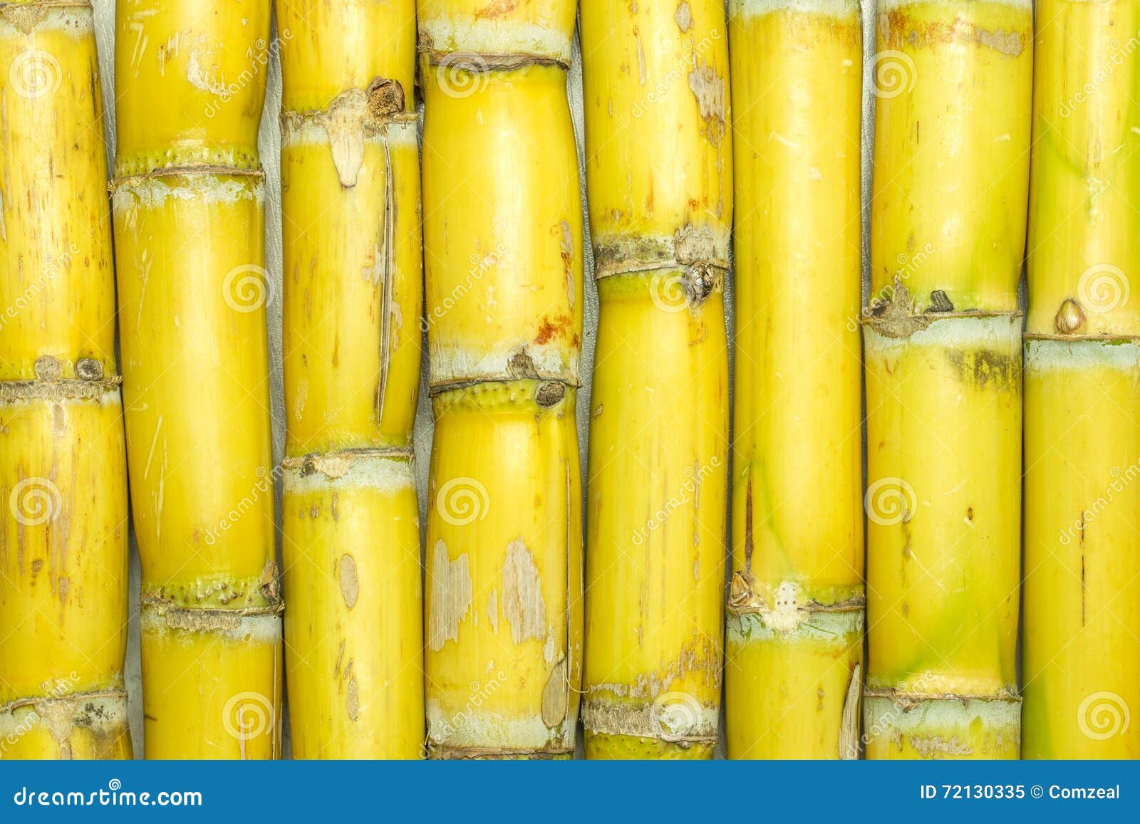 Texture of Sugarcane Varieties Stock Image - Image of sugar, plant ...
