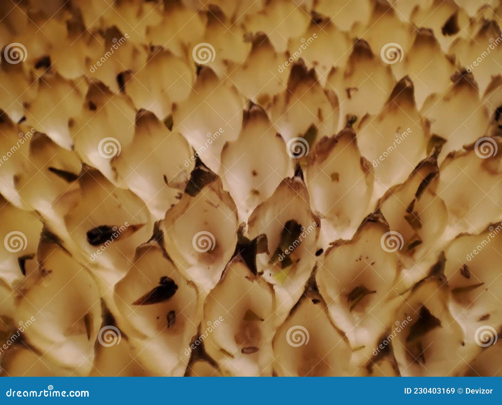 The Texture of a Sunflower without Seeds, in Macro Magnification Stock ...