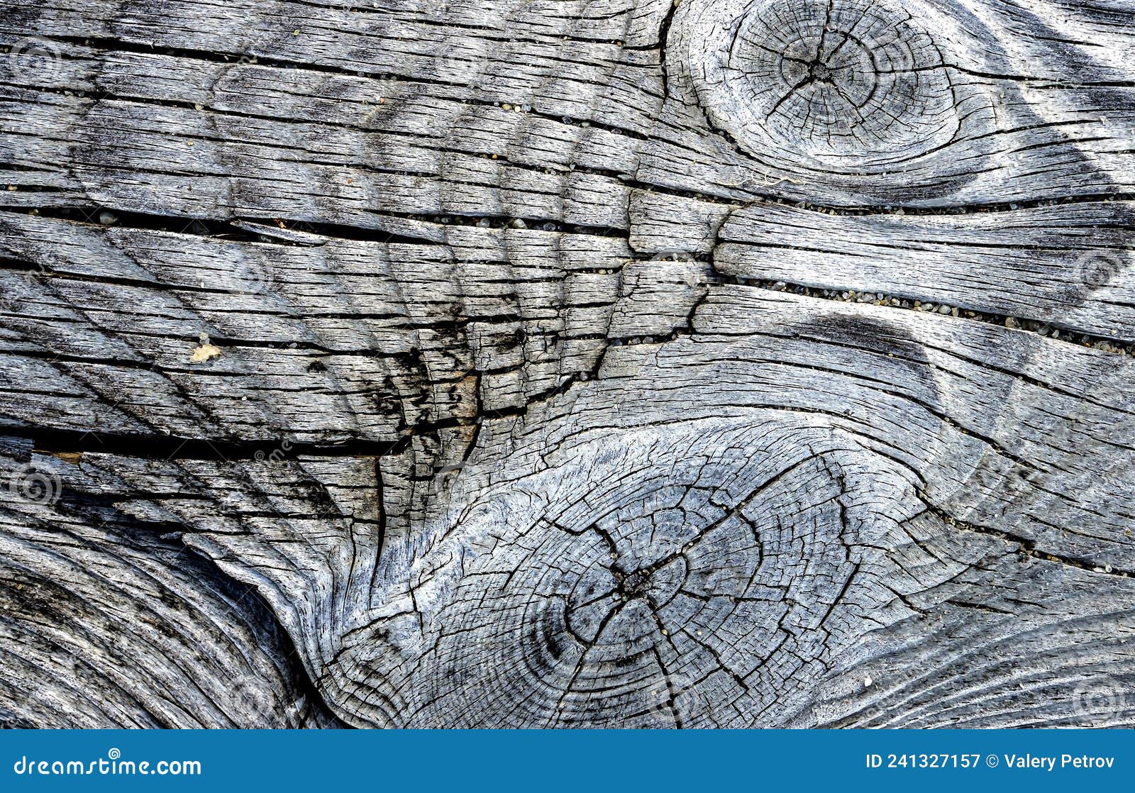 Texture of Boards on the Lake Shore Stock Image - Image of shore ...