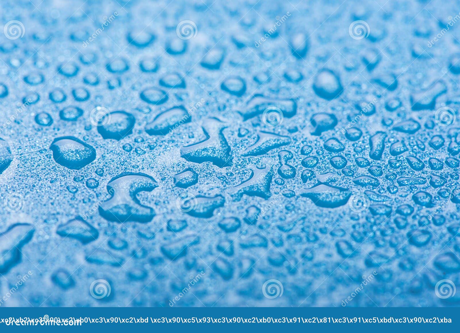 Texture of Water Droplets. Water Drops Close Up. Drops on the Surface ...