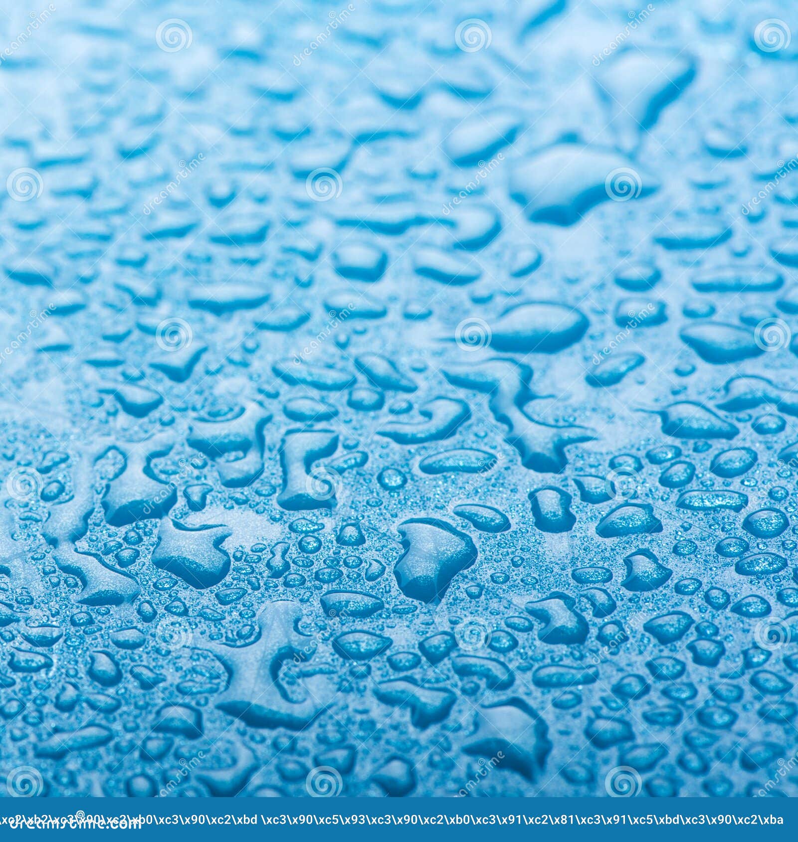 Texture of Water Droplets. Water Drops Close Up. Drops on the Surface ...