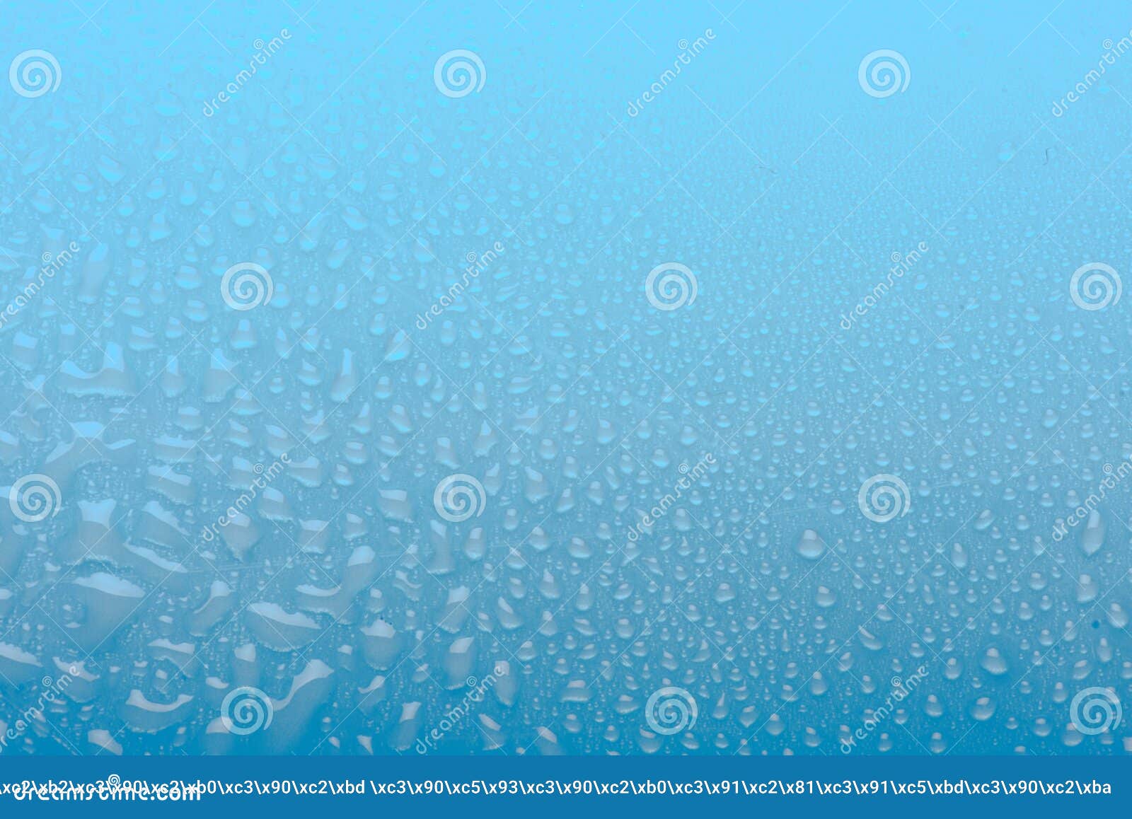 Texture of Water Droplets. Water Drops Close Up. Drops on the Surface ...