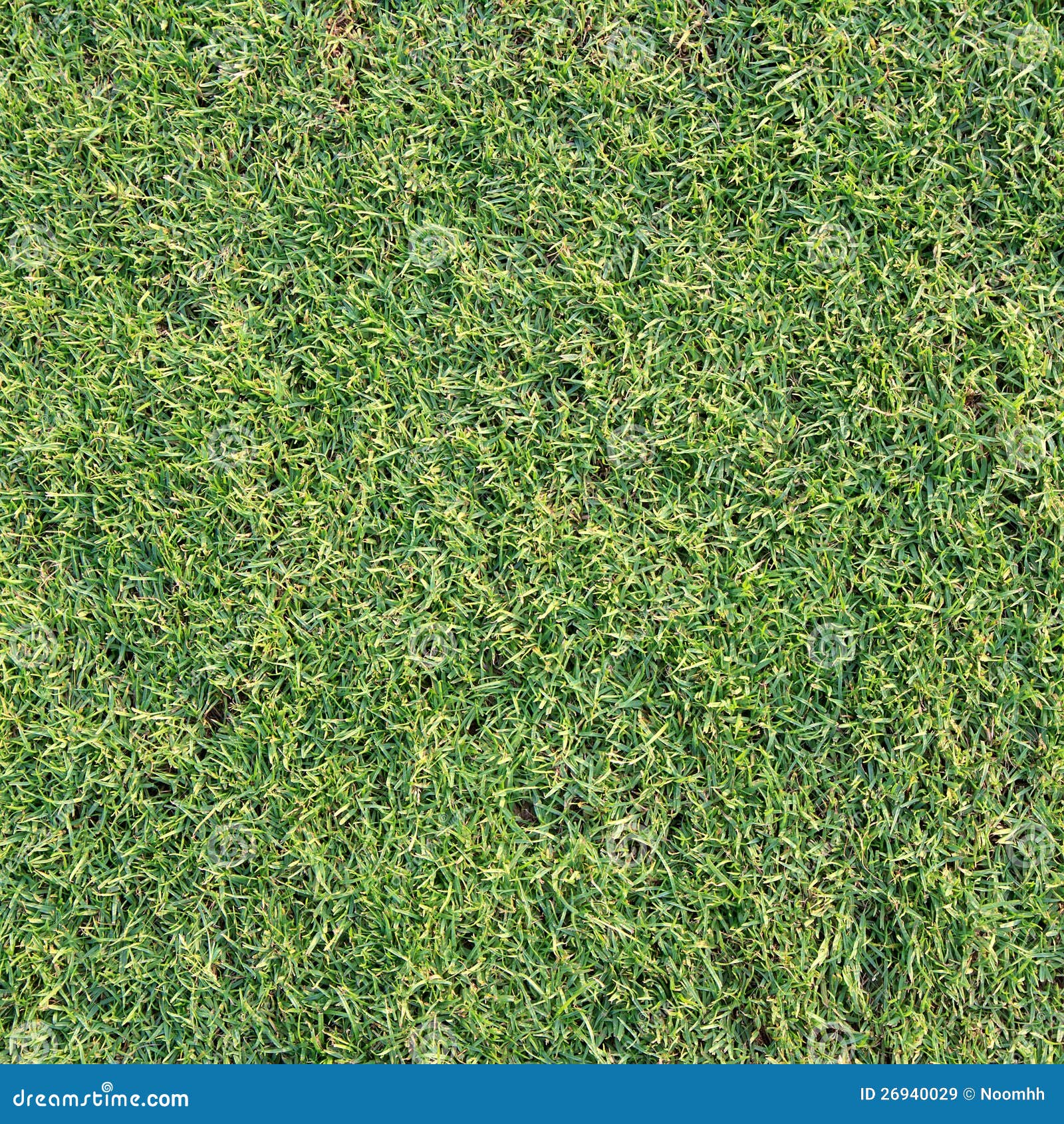 Texture and Surface of Green Turf Stock Image - Image of court ...