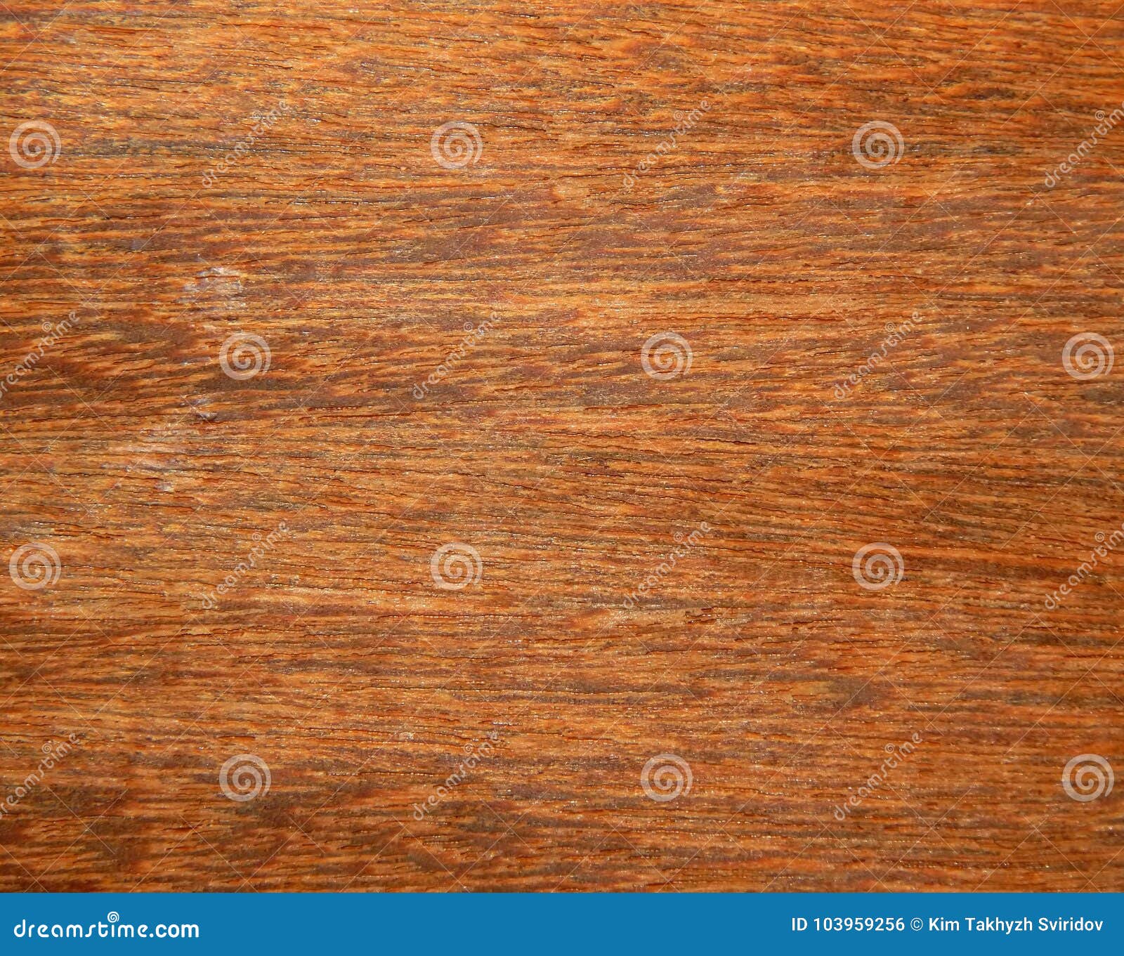 Texture of a Surface of a Natural Tree Sapele. Decorative Wood Veneer ...