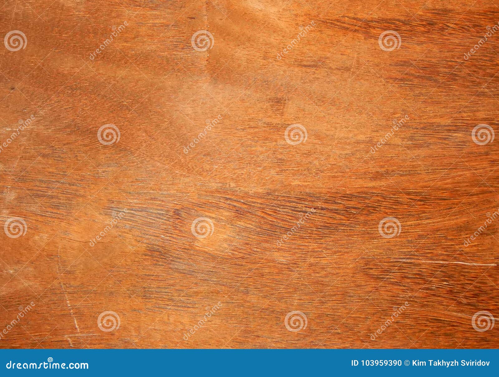 Texture of a Surface of a Natural Tree Sapele. Decorative Wood Veneer ...