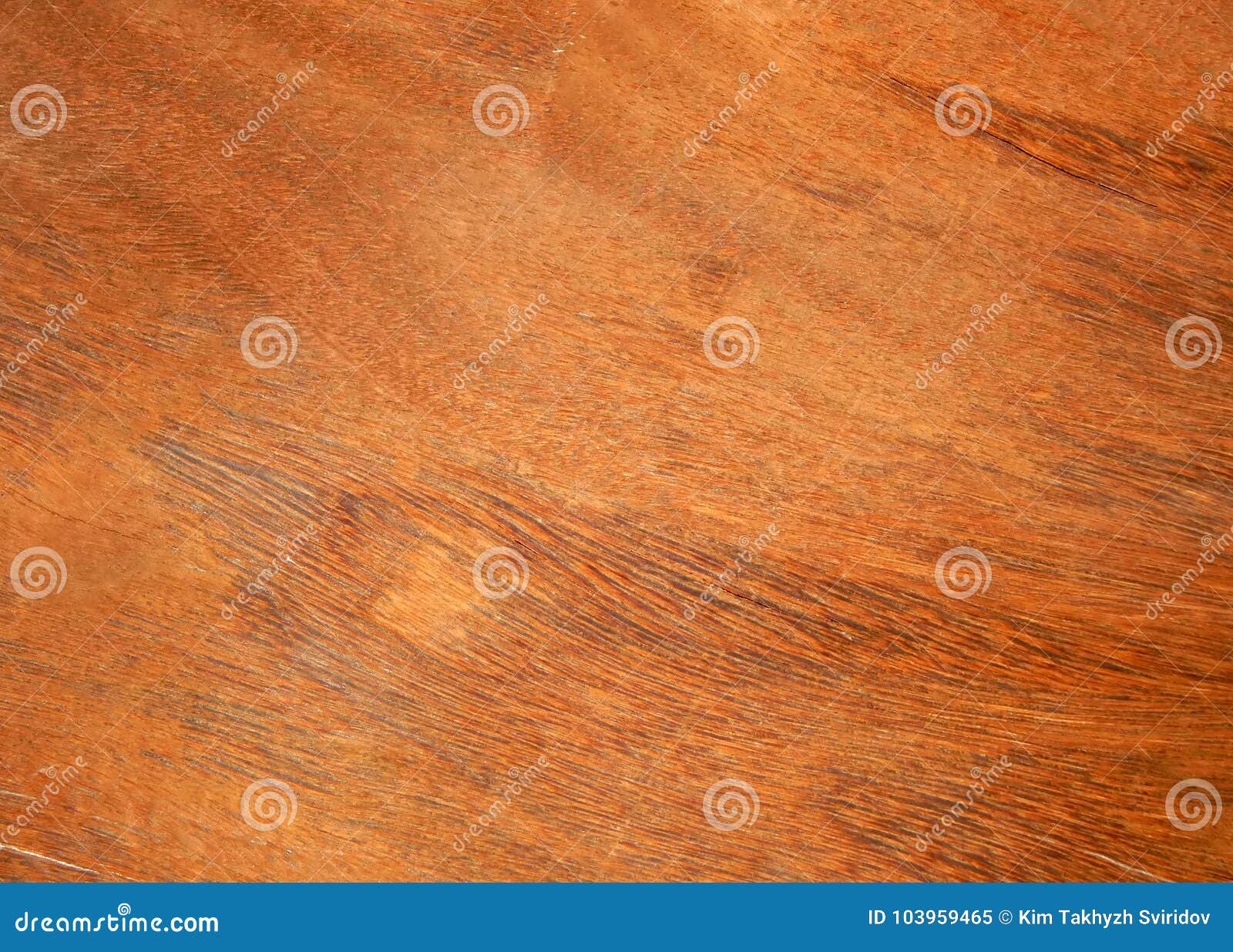 Texture of a Surface of a Natural Tree Sapele. Decorative Wood Veneer ...