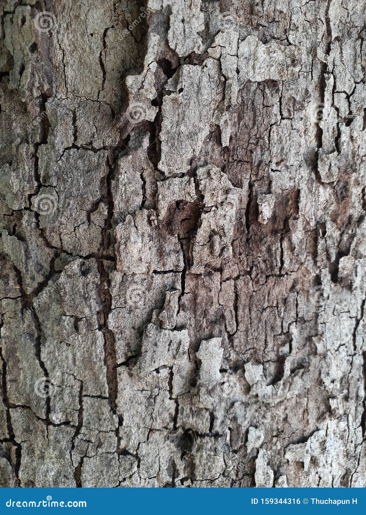 Texture from Surrounding Environment Stock Photo - Image of streak ...