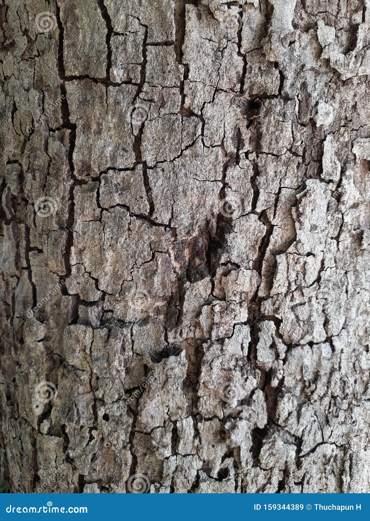 Texture from Surrounding Environment Stock Image - Image of fine, sign ...