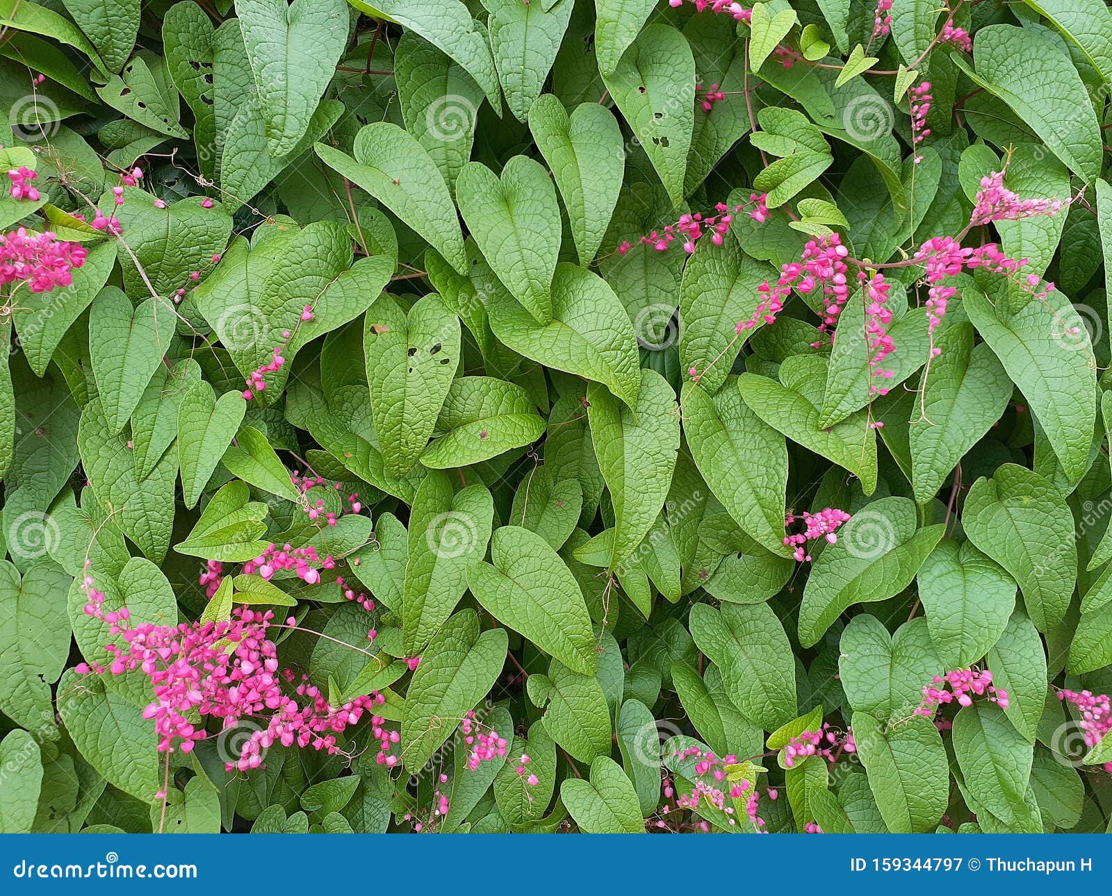 Texture from Surrounding Environment Stock Image - Image of environment ...