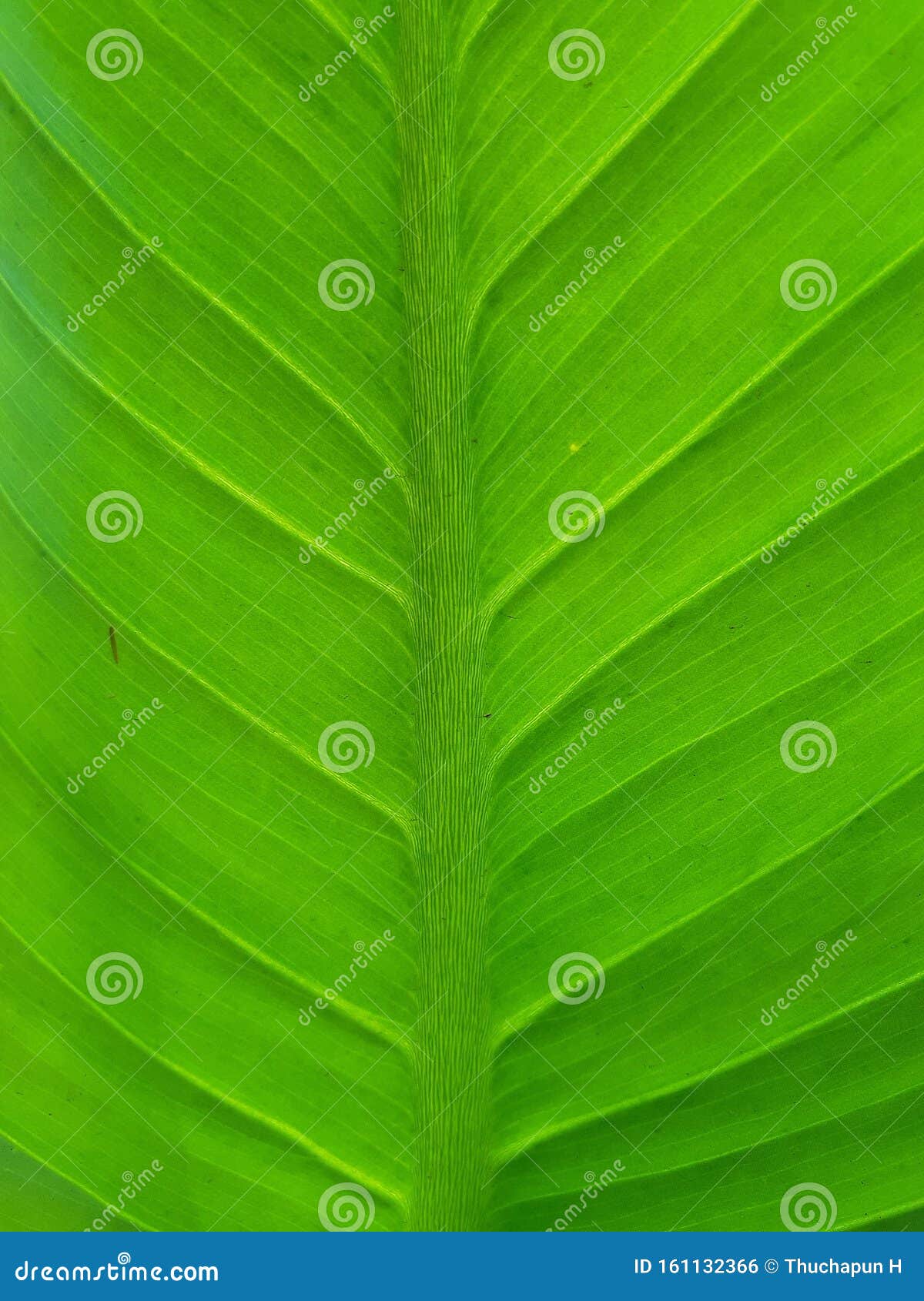 Texture from Surrounding Environment Stock Photo - Image of signature ...