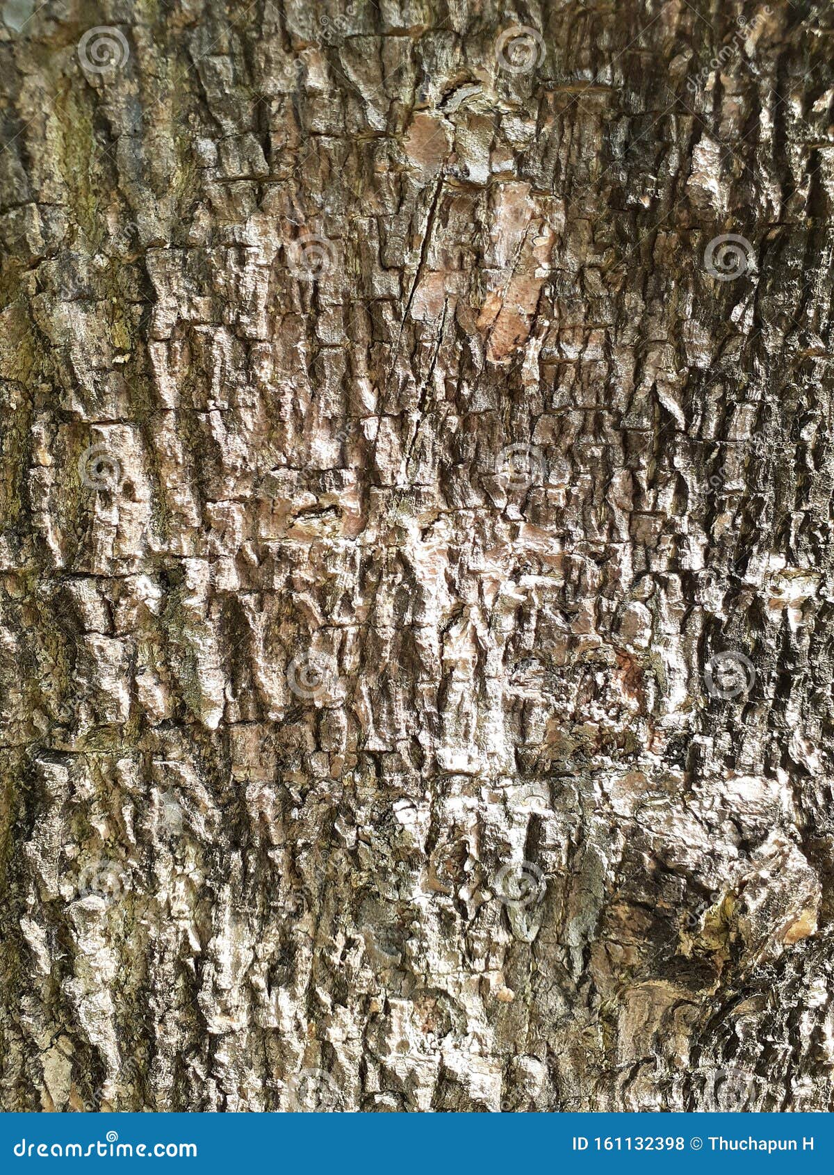 Texture from Surrounding Environment Stock Photo - Image of environment ...