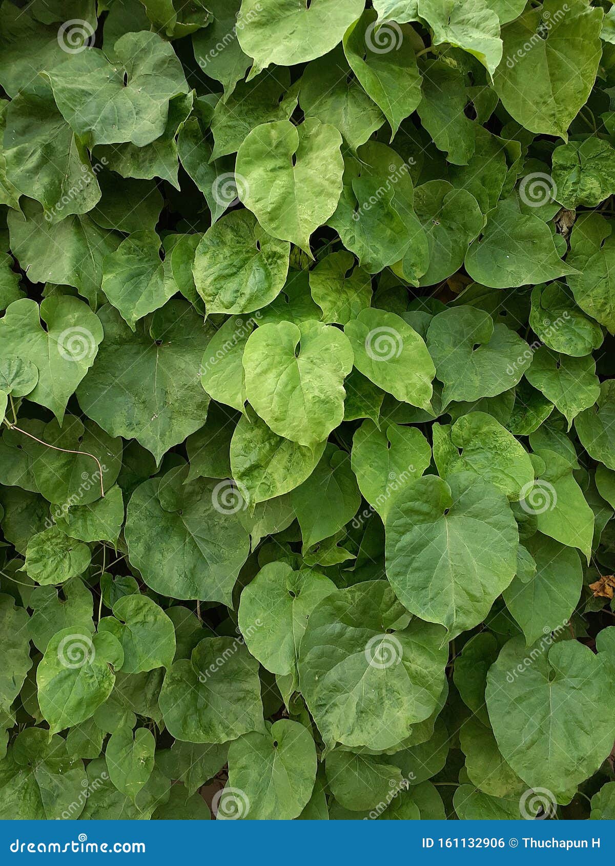 Texture from Surrounding Environment Stock Photo - Image of streak ...
