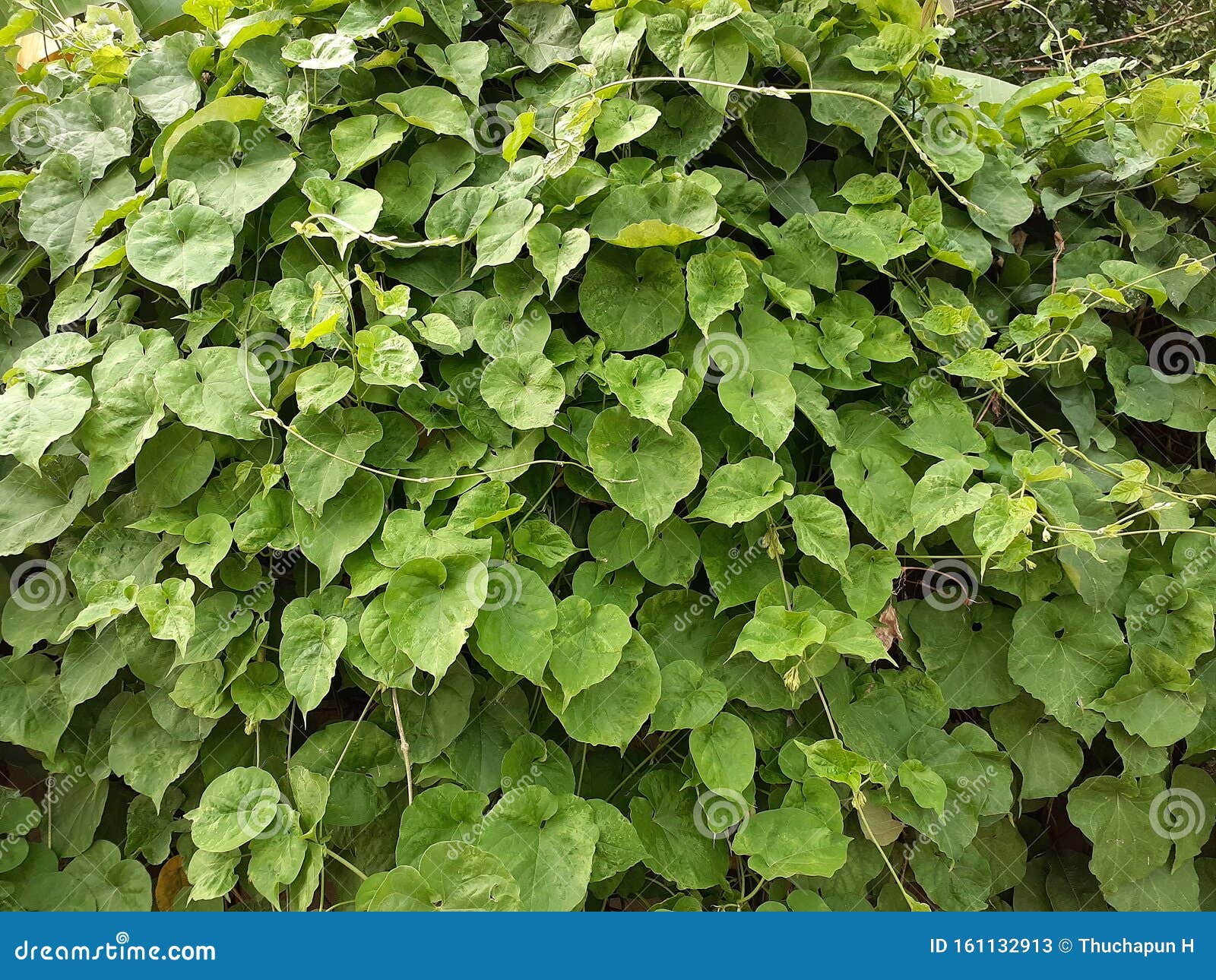 Texture from Surrounding Environment Stock Image - Image of detail ...